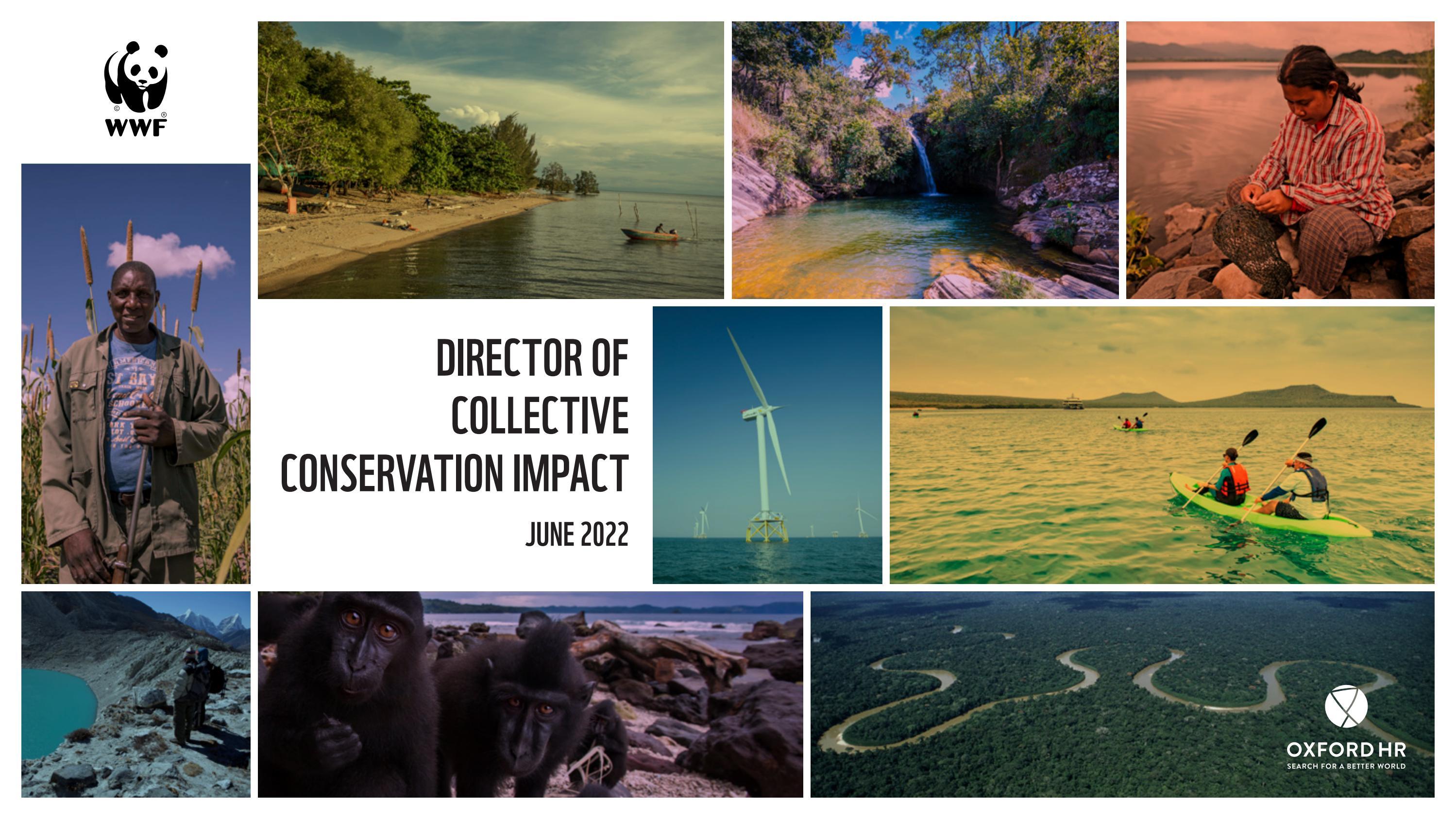 WWF - Director of Collective Conservation Impact by Oxford HR - Issuu