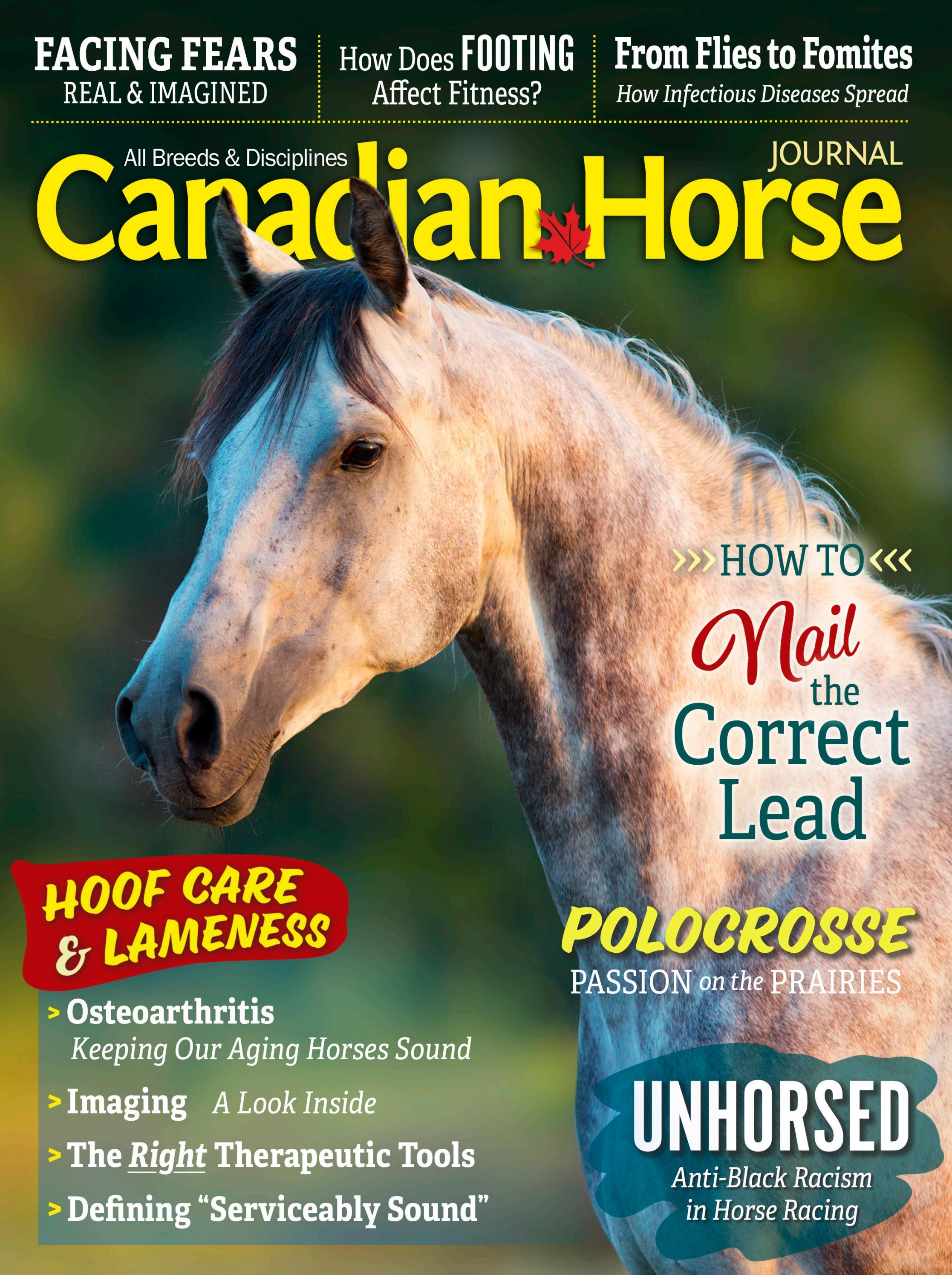Canadian Horse Journal - SAMPLE - Summer 2022 by Horse Community ...