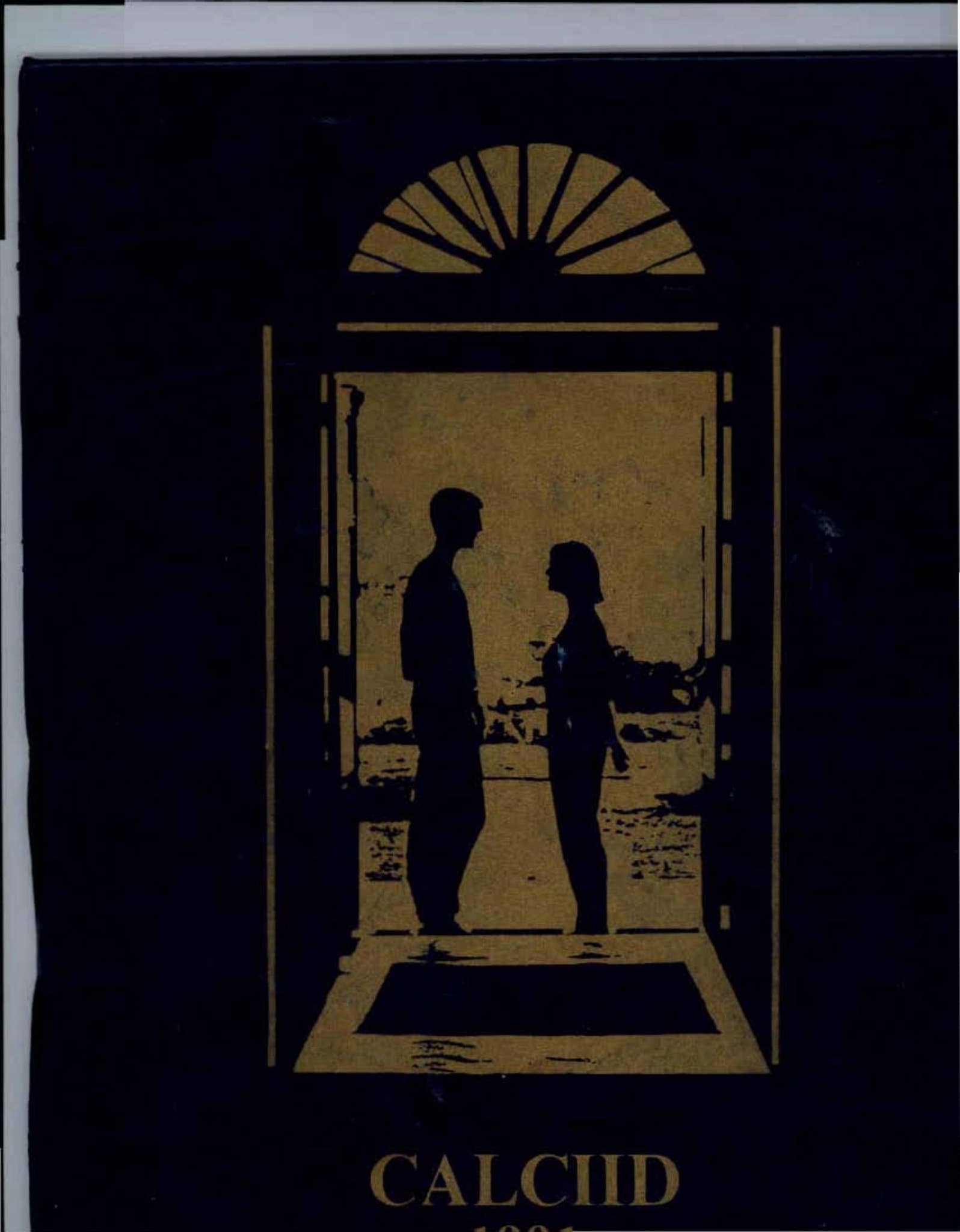 1990 by Limestone University Library - Issuu