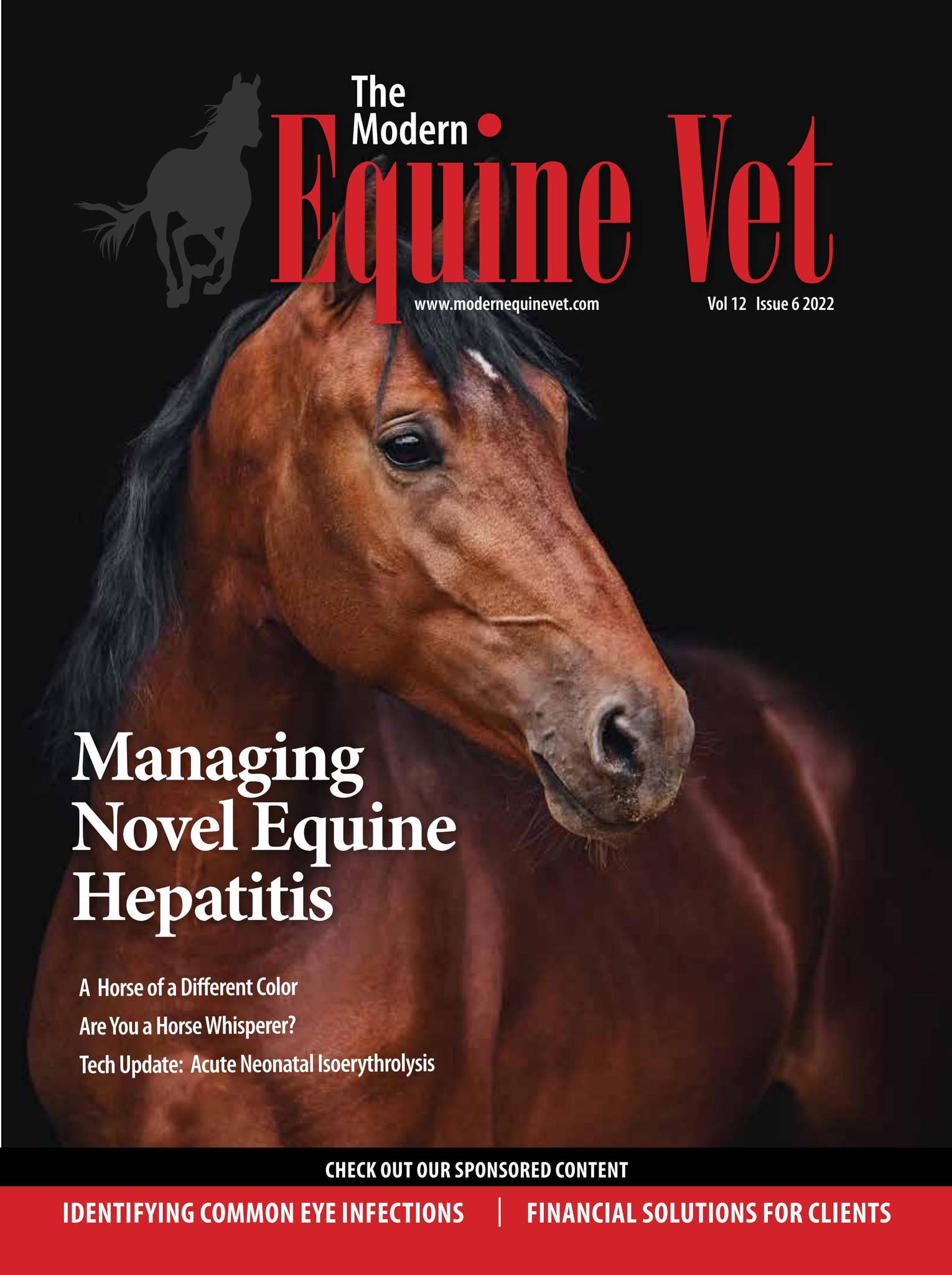 Modern Equine Vet - June 2022 by The Modern Equine Vet - Issuu