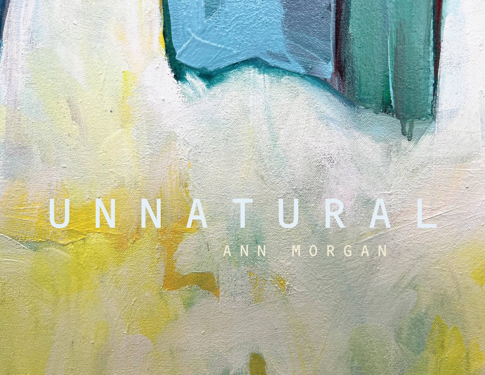 Ann Morgan Artist: Unnatural Series by Ann Morgan - Issuu