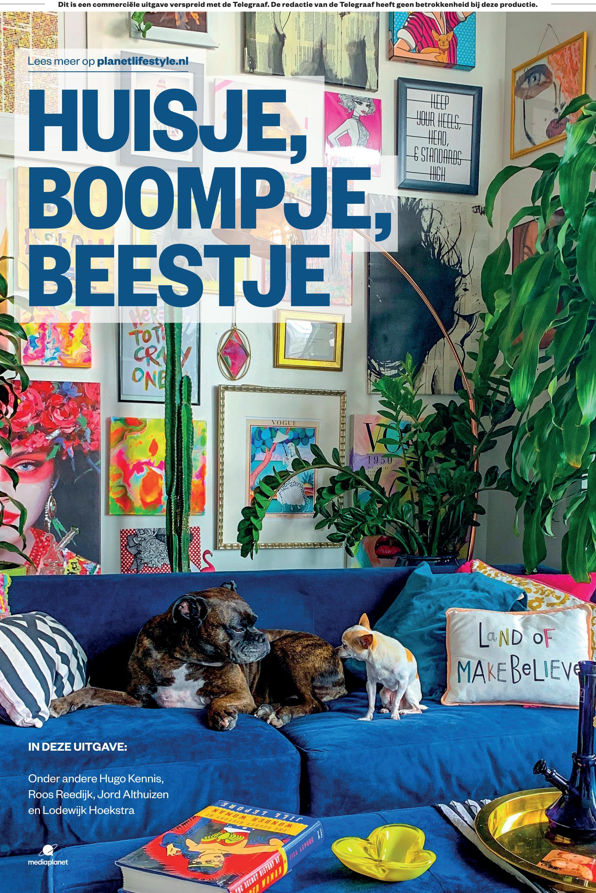 Huisje, Boompje, Beestje special by Toppoint/MrWoon - Issuu