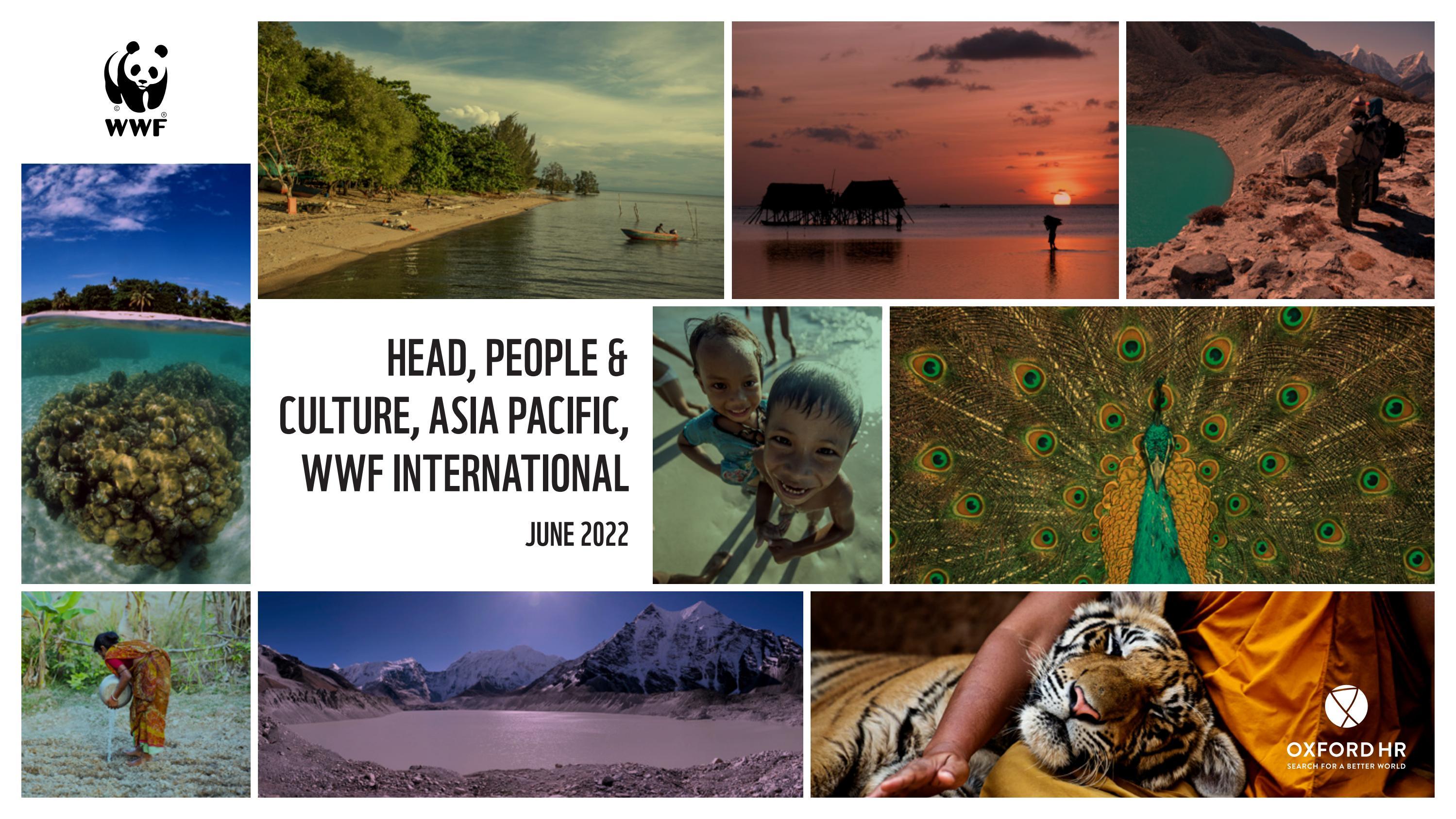 WWF - Head, People & Culture, Asia Pacific by Oxford HR - Issuu