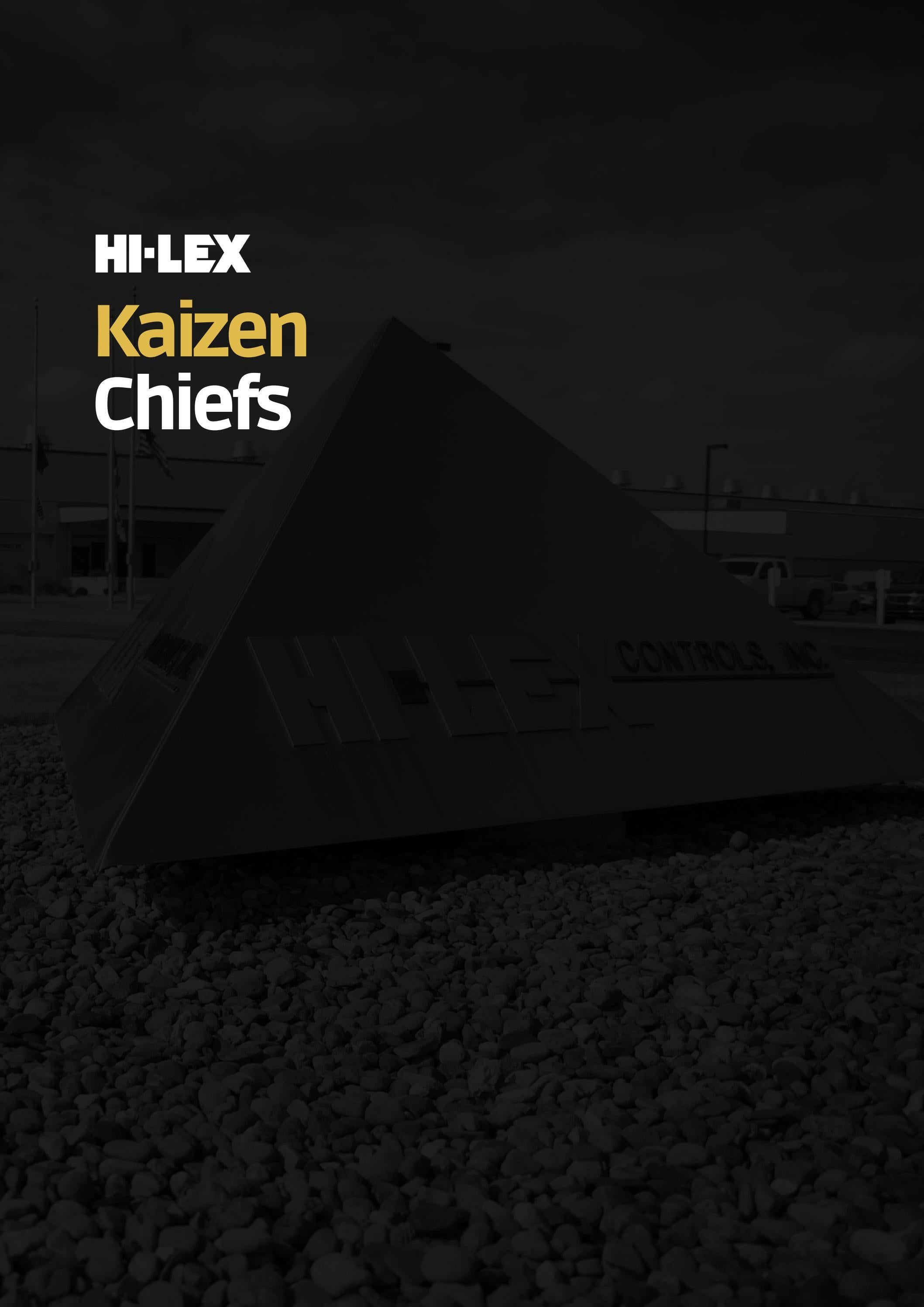 Hi-Lex by Business Enquirer (Internal Use Only Not Downloadable) - Issuu