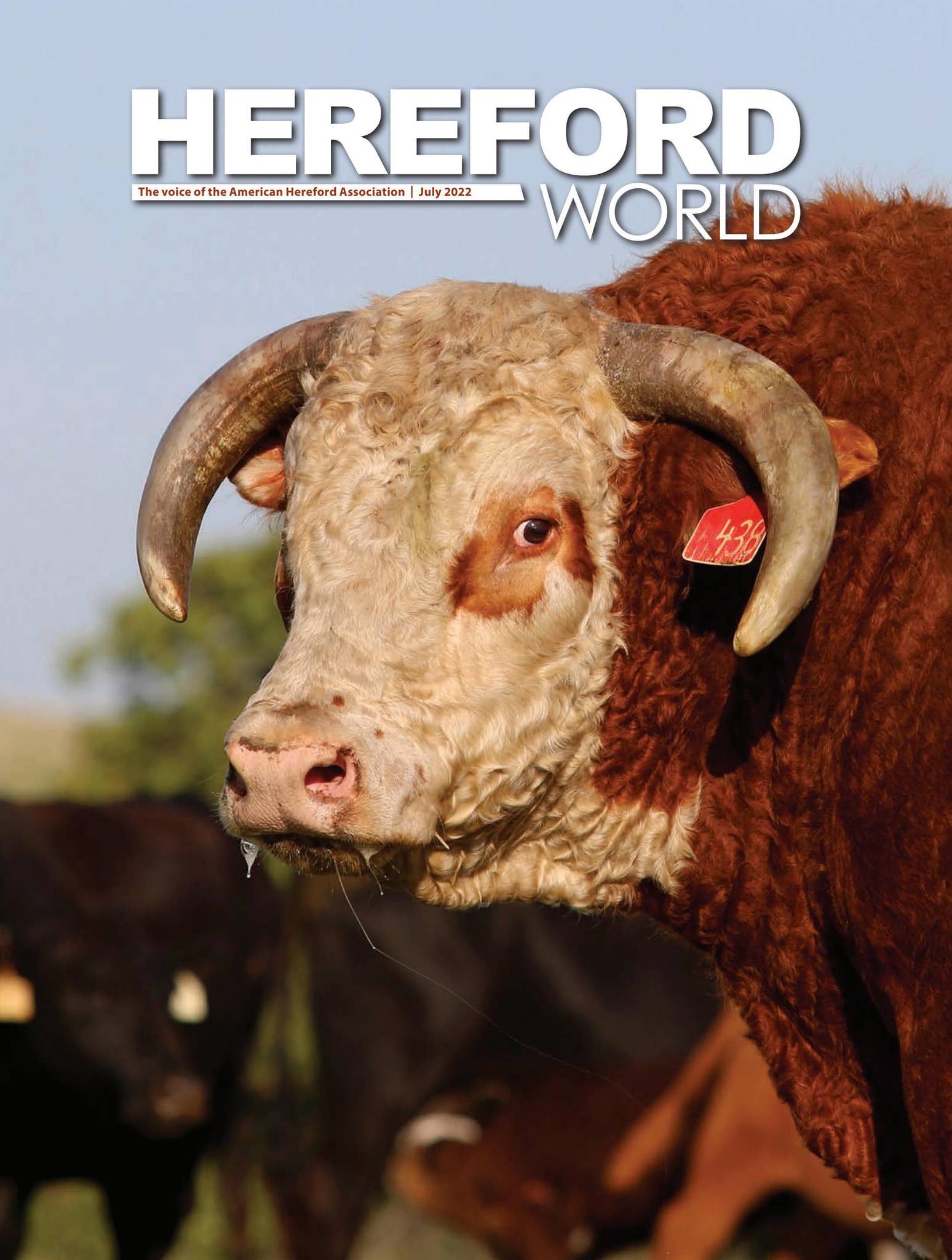 July 2022 Hereford World Magazine by American Hereford Association - Issuu