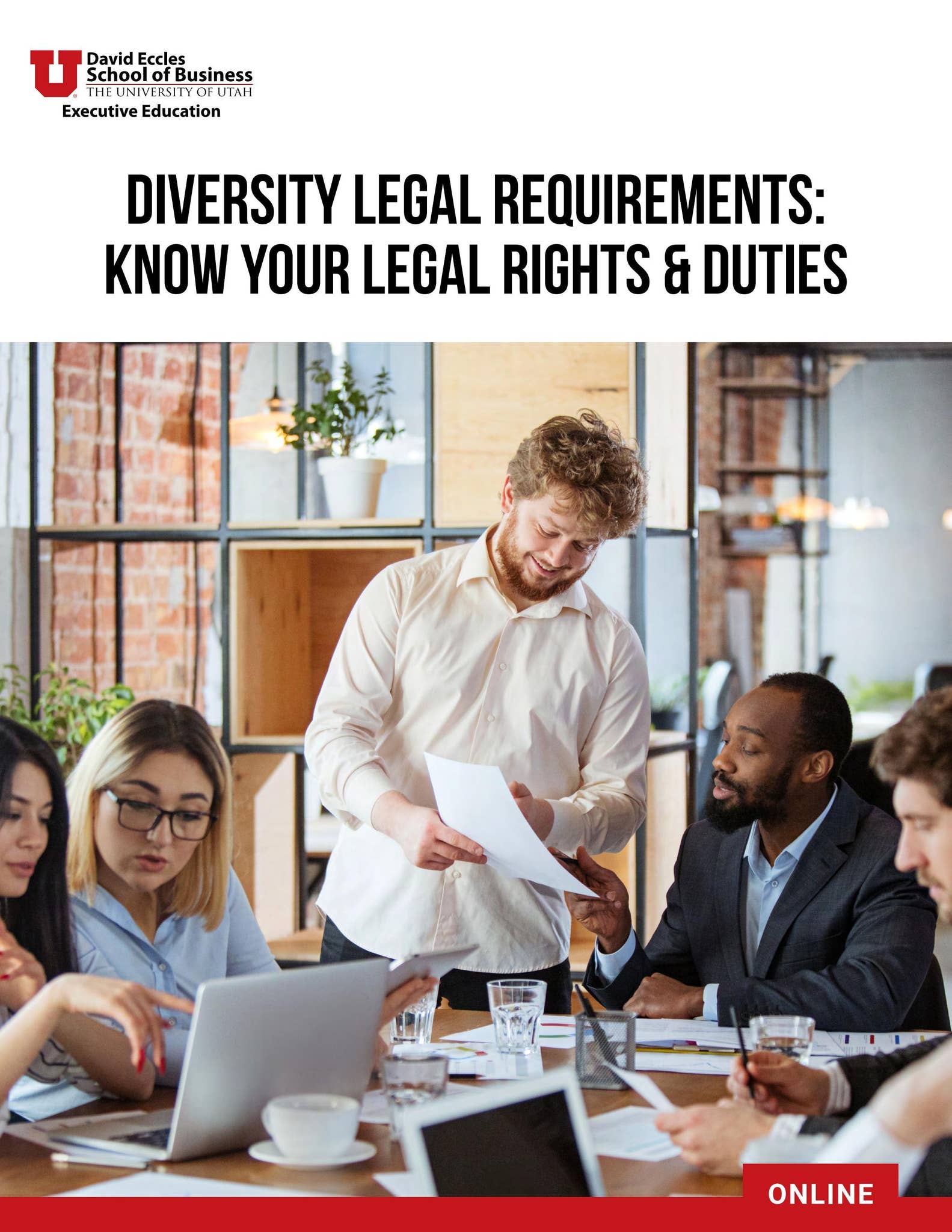 Diversity Legal Requirements: Know Your Legal Rights and Duties by ...