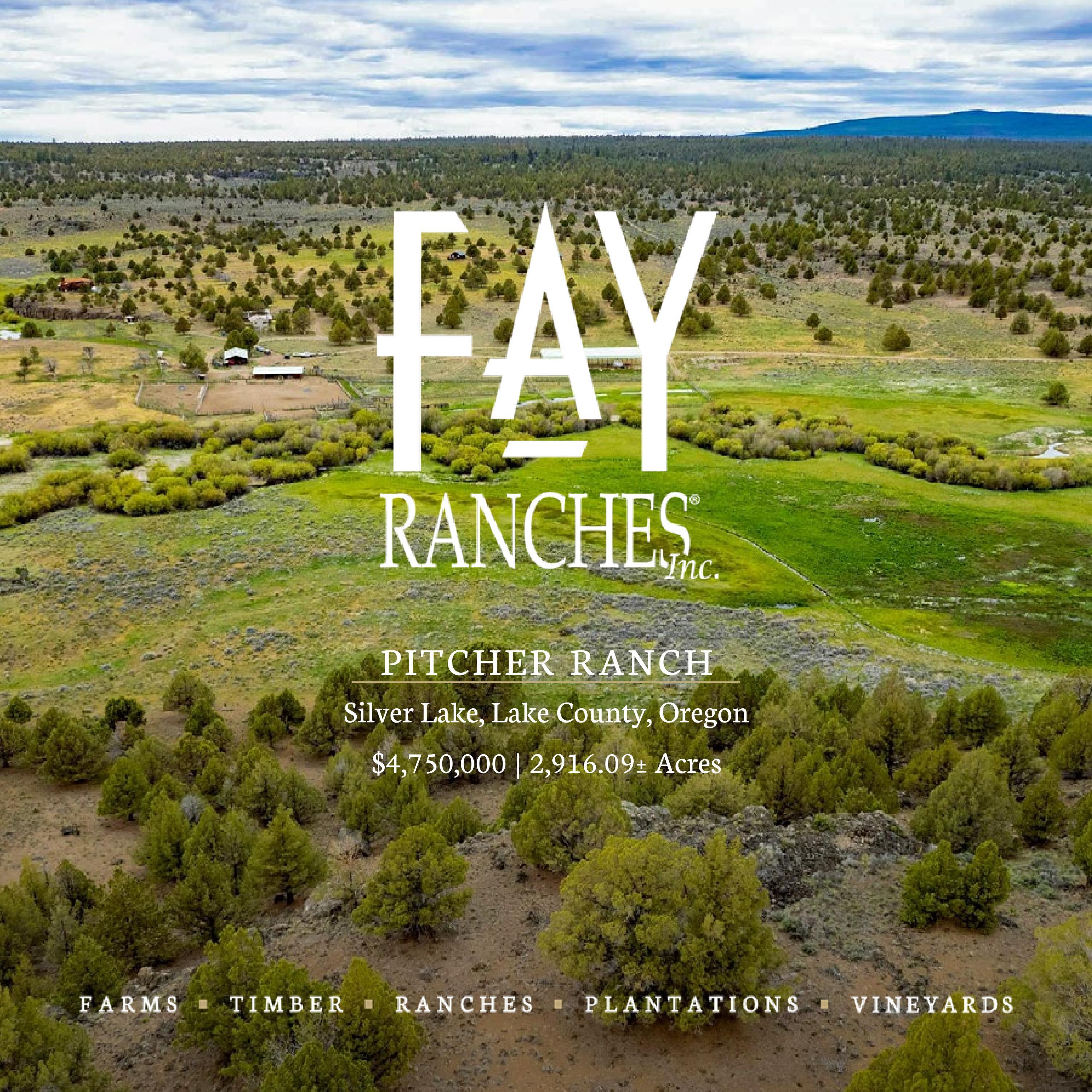 Pitcher Ranch | Fay Ranches by Fay Ranches - Issuu
