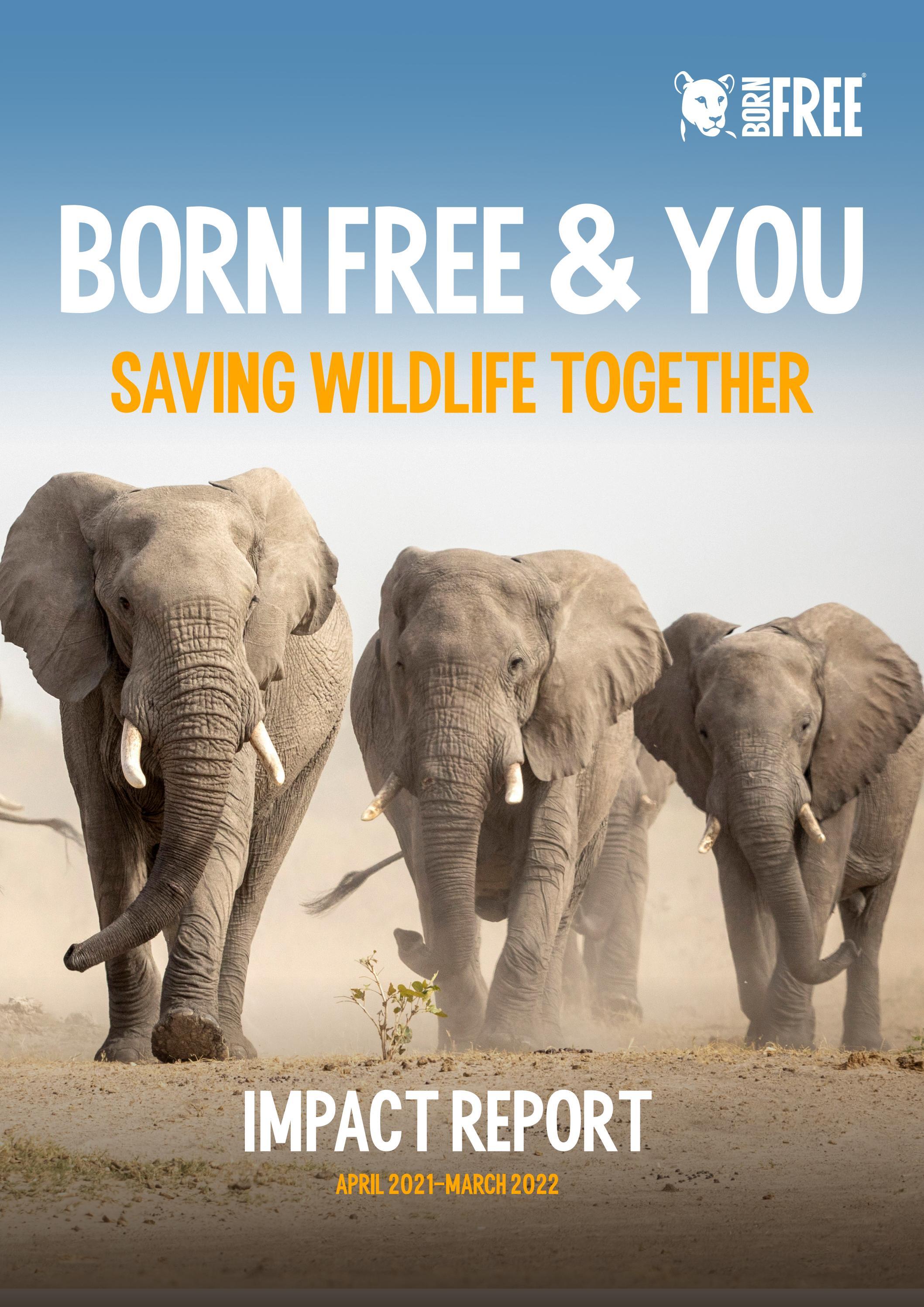 BORN FREE & YOU SAVING WILDLIFE TOGETHER by BornFree - Issuu