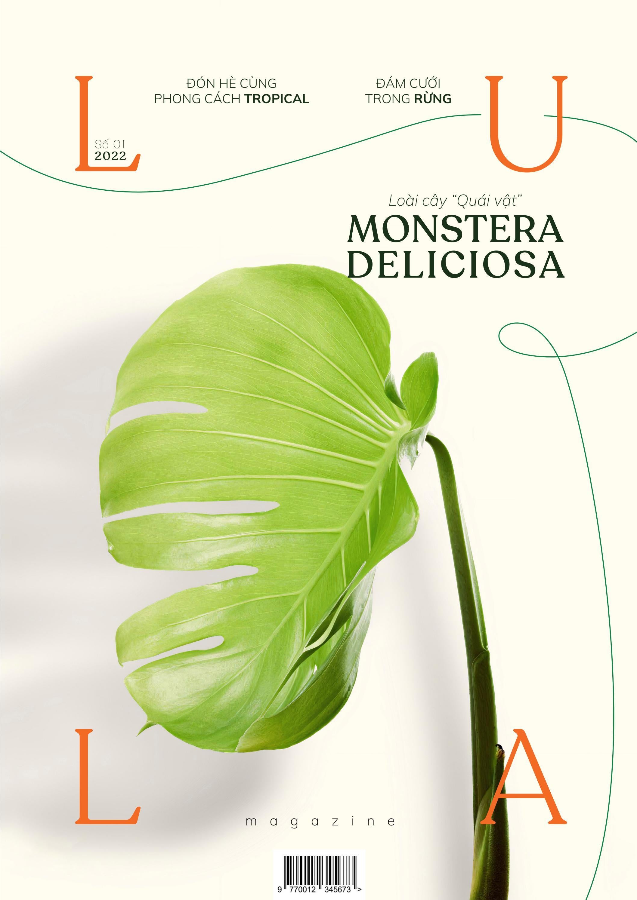 LULA Magazine by Duc Quy - Issuu