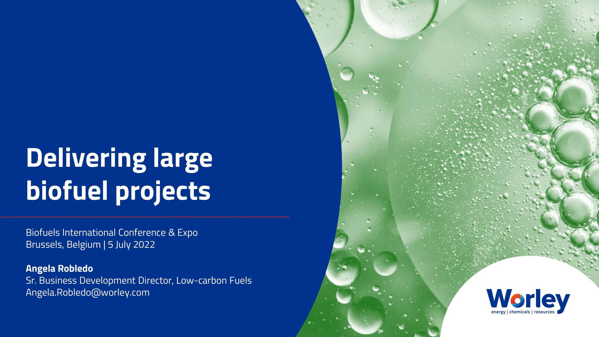 Delivering large biofuel projects by worleyECR - Issuu