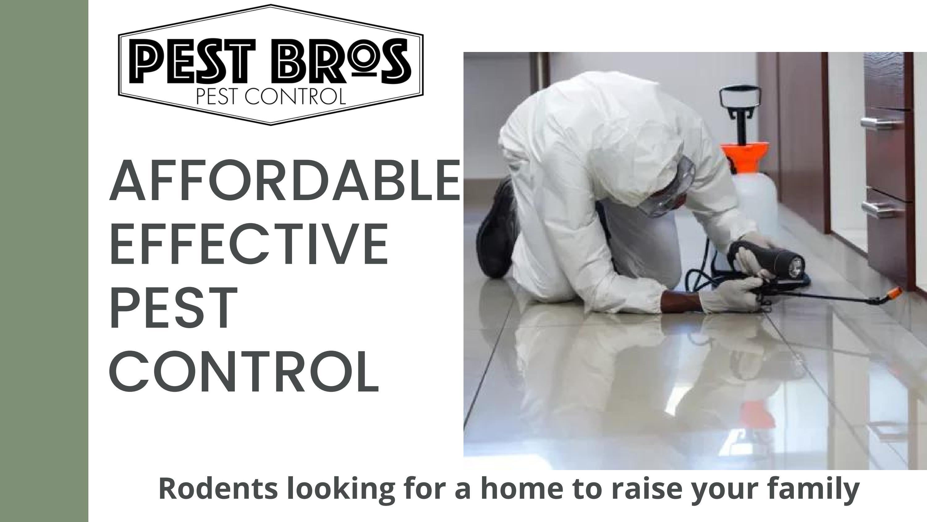 Hire the Best Pest Control Pasadena TX - Pest Bros Pest Control by The ...