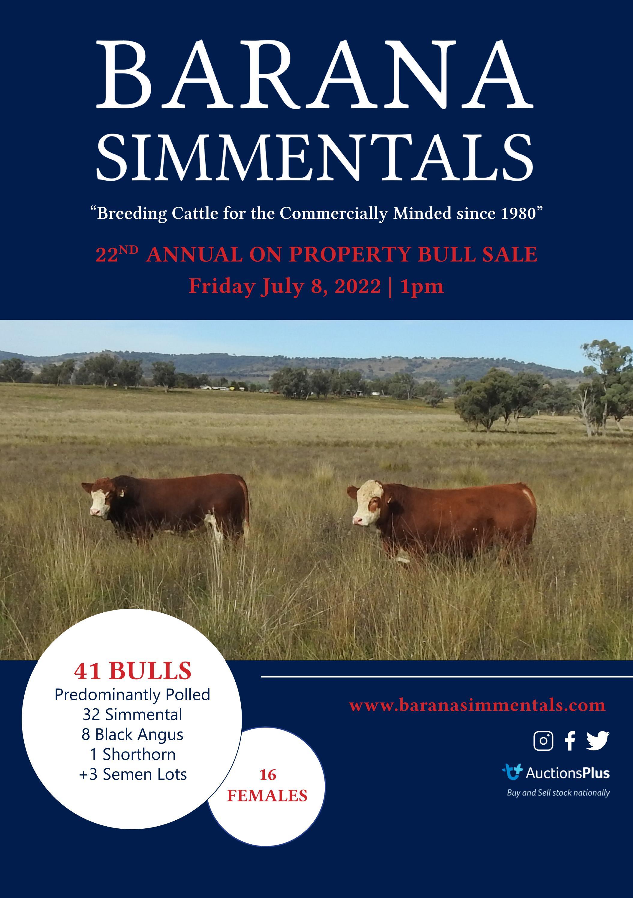 Barana Simmentals 2022 Sale Catalogue by Maddie Cook - Issuu