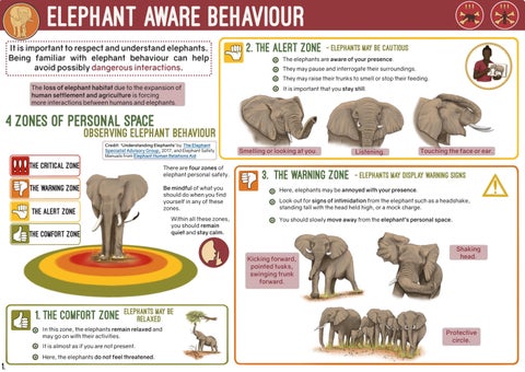 Elephant Aware Behaviour by Save The Elephants - Issuu