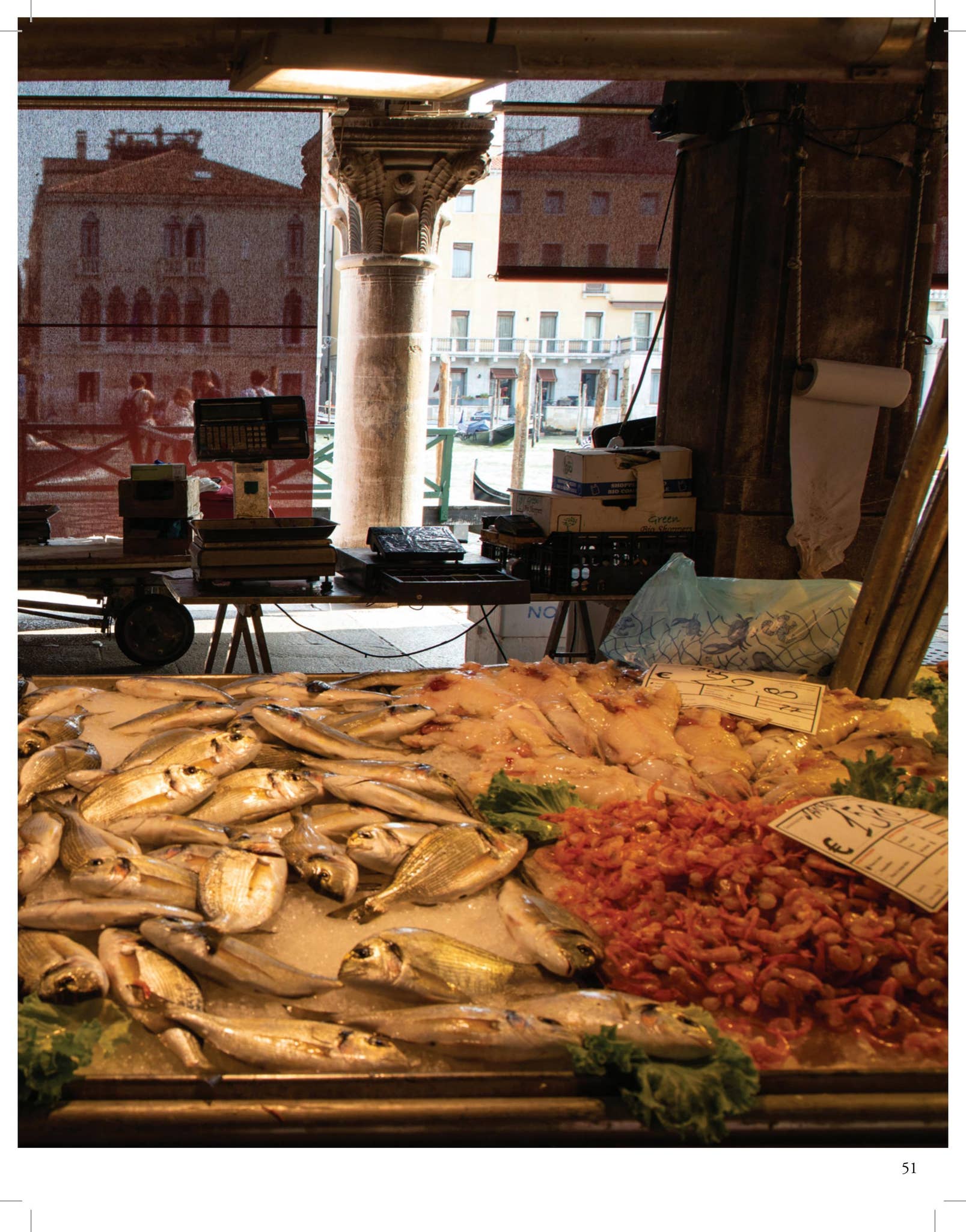 Fall 2021 (19th Issue) by Middlebury Geographic Magazine - Issuu