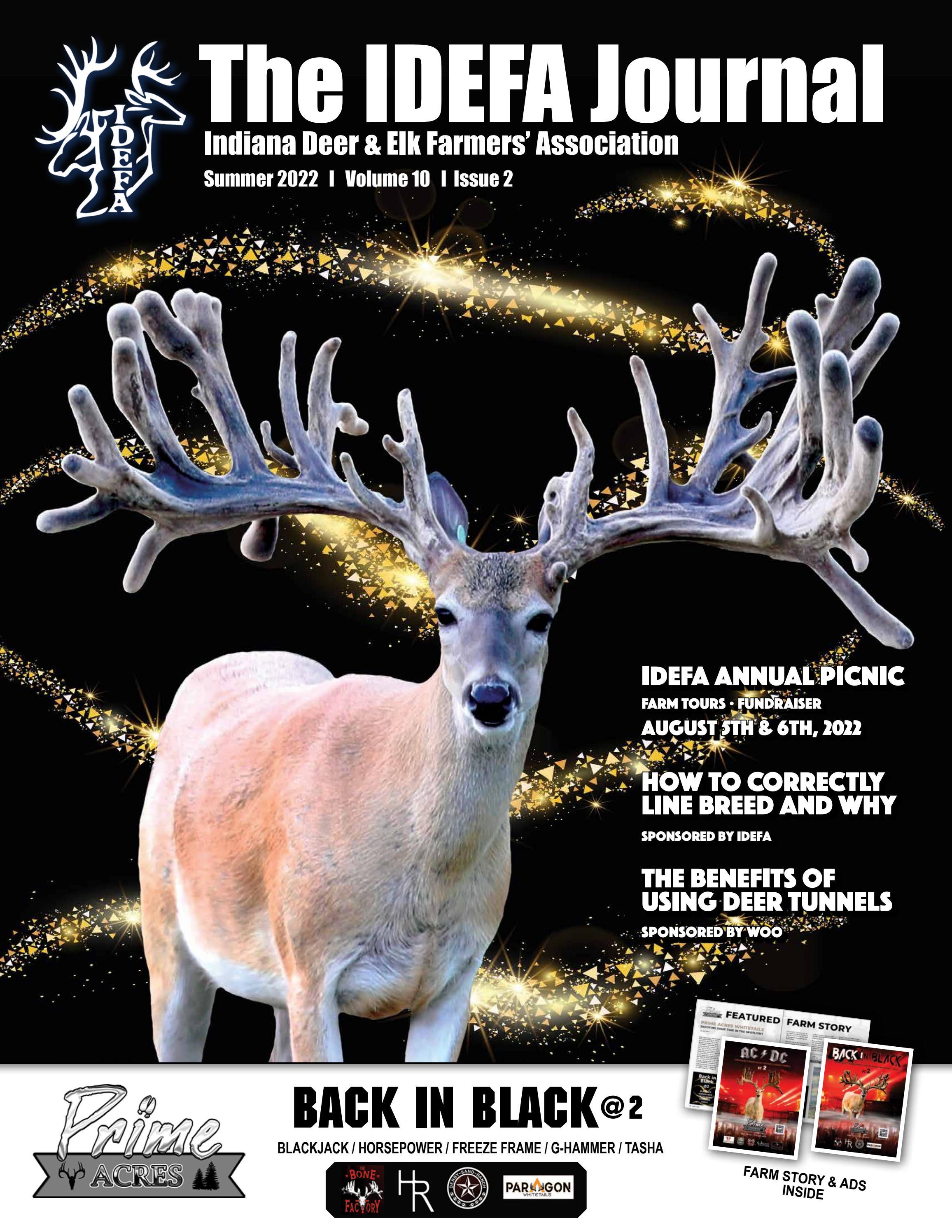 IDEFA Journal Summer 2022 by DandKDesign - Issuu