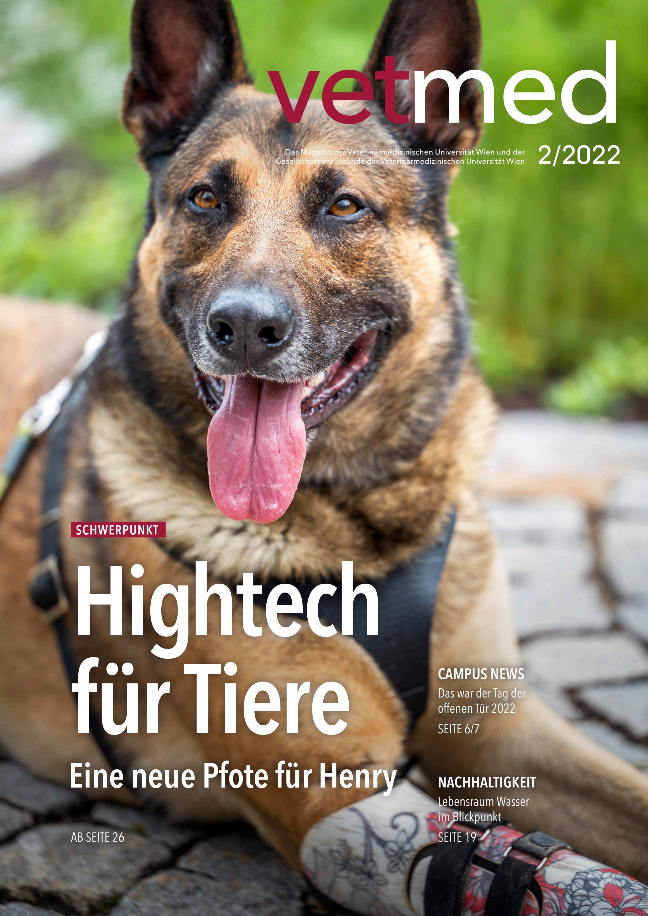 VETMED – Das Magazin 02/2022 by Vetmeduni - Issuu