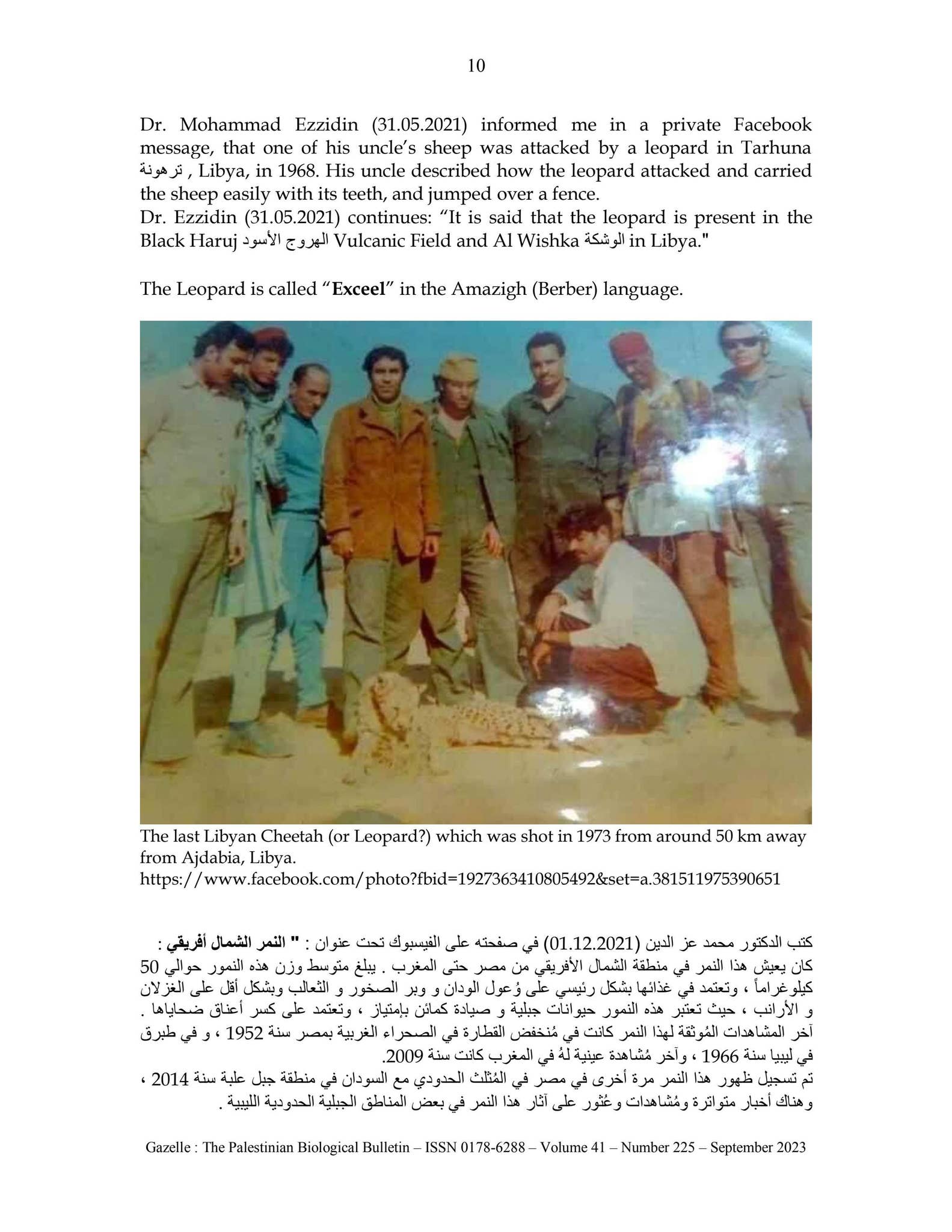 The Atlas Leopard or Barbary Leopard (Panthera pardus panthera Schreber ...