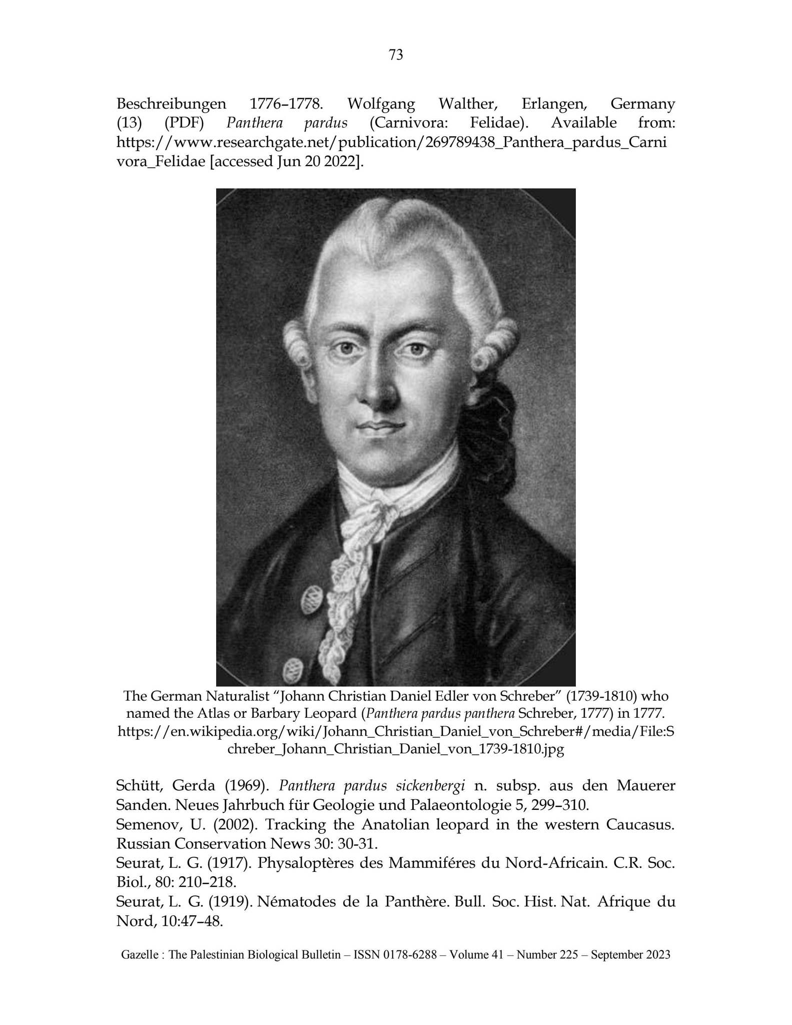 The Atlas Leopard or Barbary Leopard (Panthera pardus panthera Schreber ...