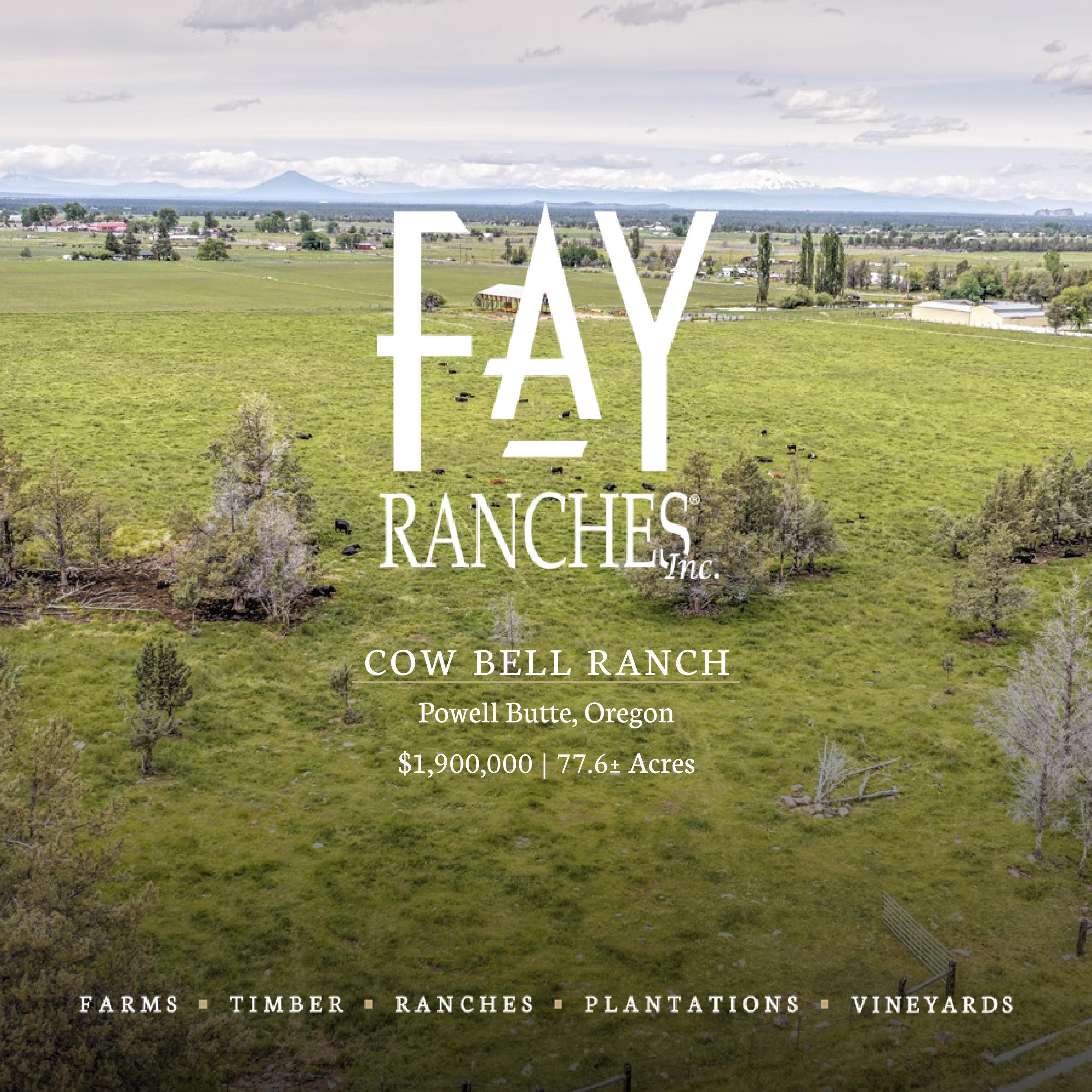 Cow Bell Ranch | Fay Ranches by Fay Ranches - Issuu