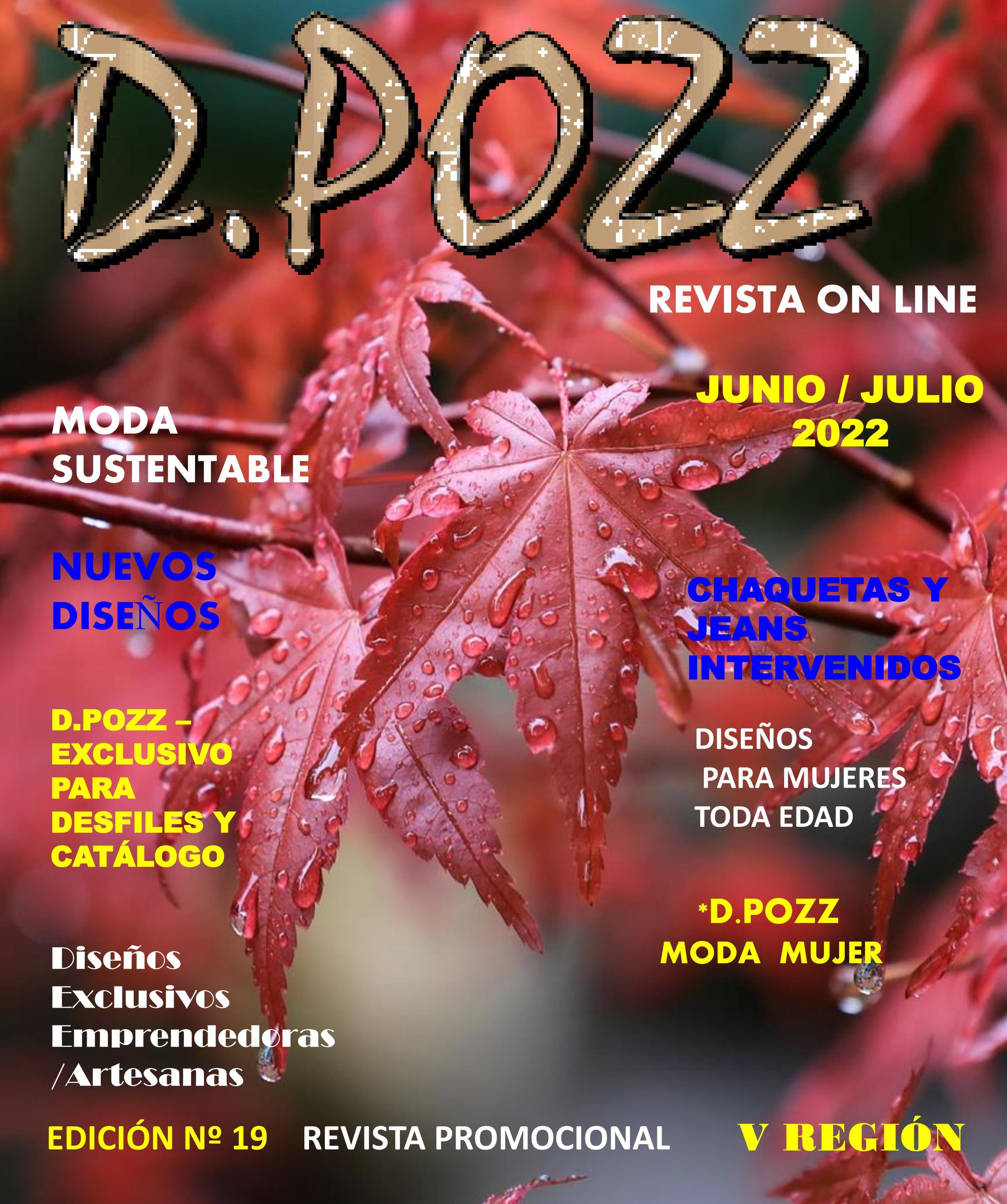 Revista D.POZZ nro. 19 by revistadpozz - Issuu
