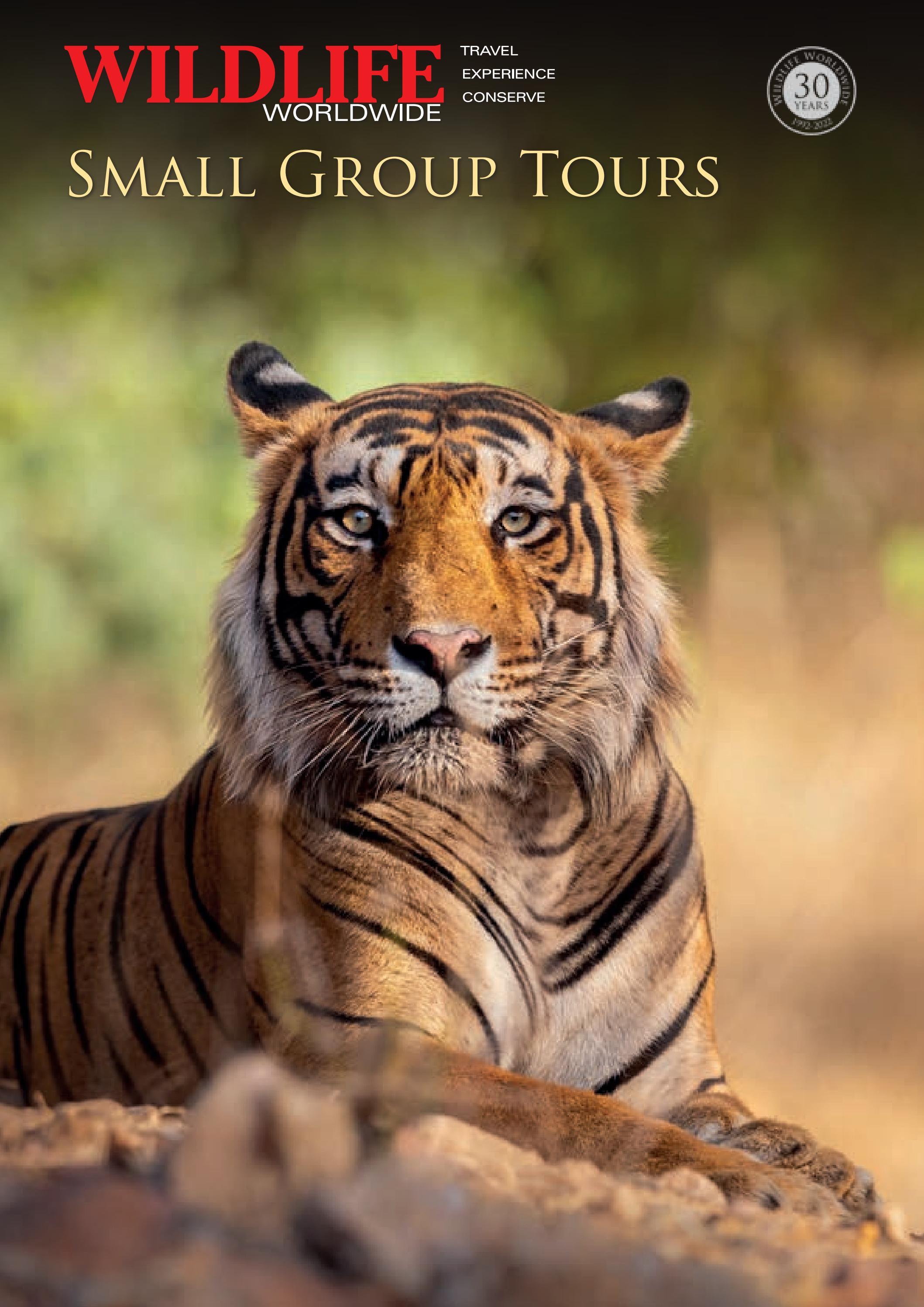 Wildlife Worldwide Small Group Tours Brochure 2022 by The Natural ...