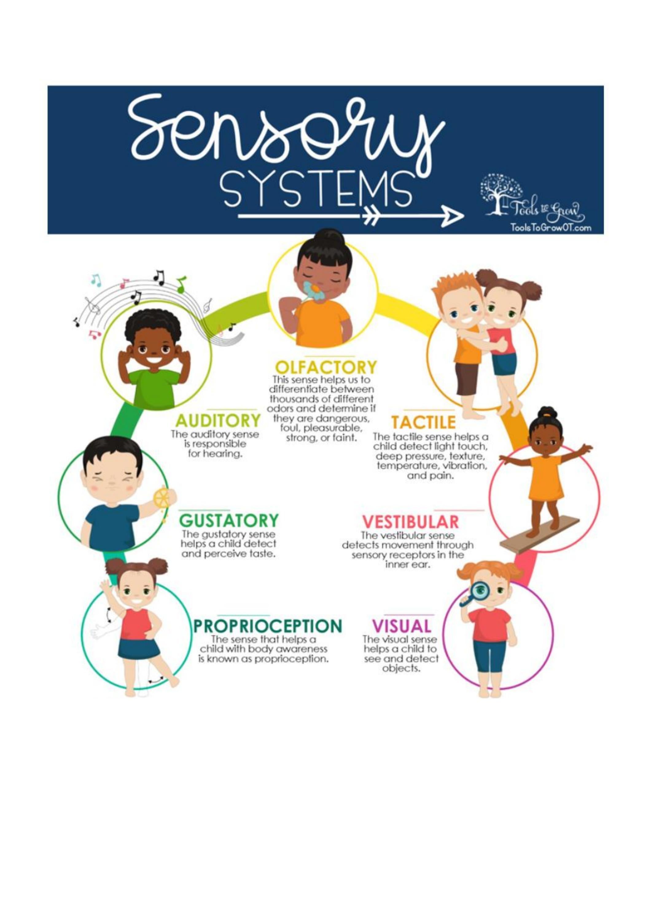 Sensory by Schudio - Issuu