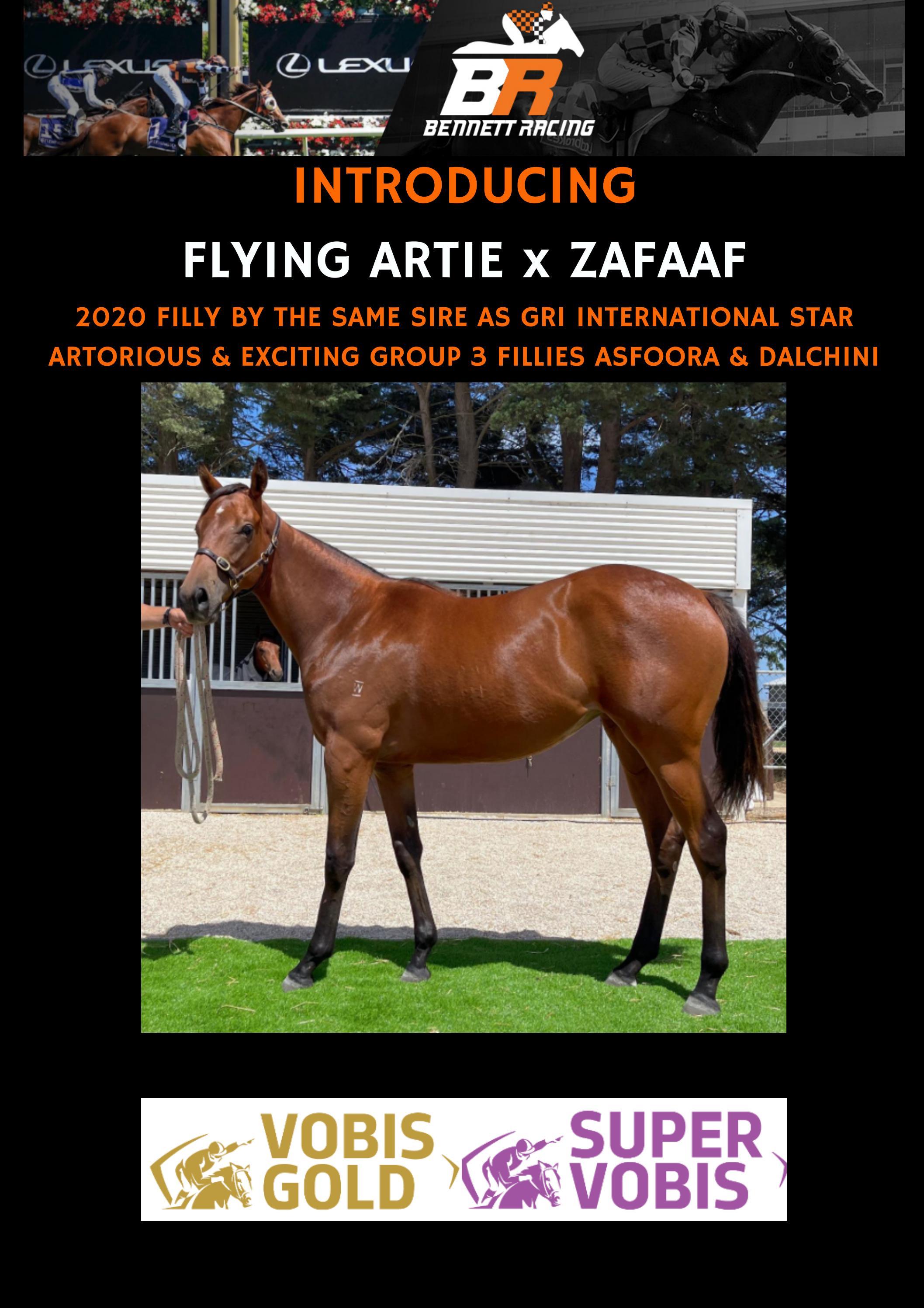 INTRODUCING FLYING ARTIE x ZAFAAF FILLY by bennettracing - Issuu