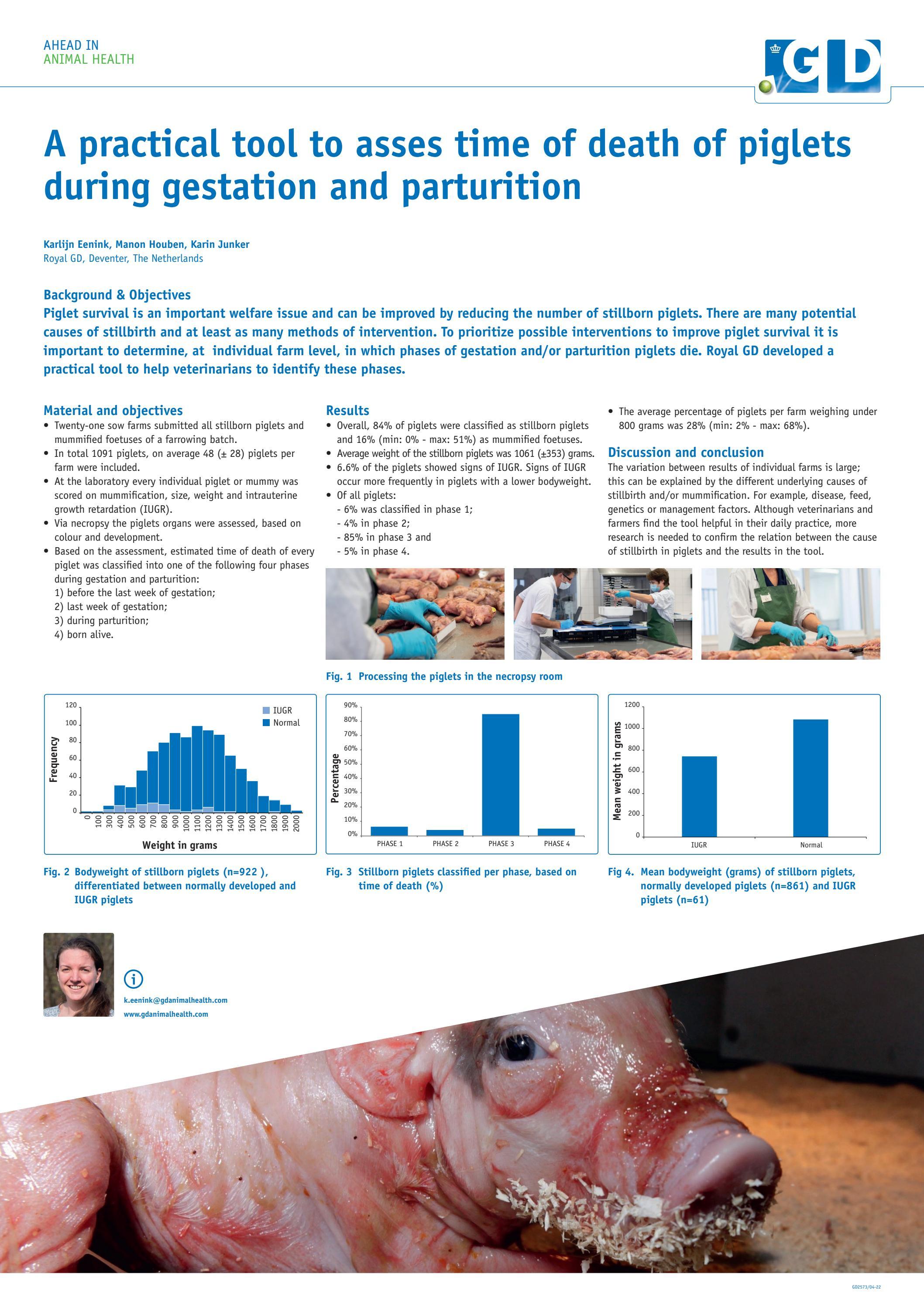 A practical tool to asses time of death of piglets during gestation and ...