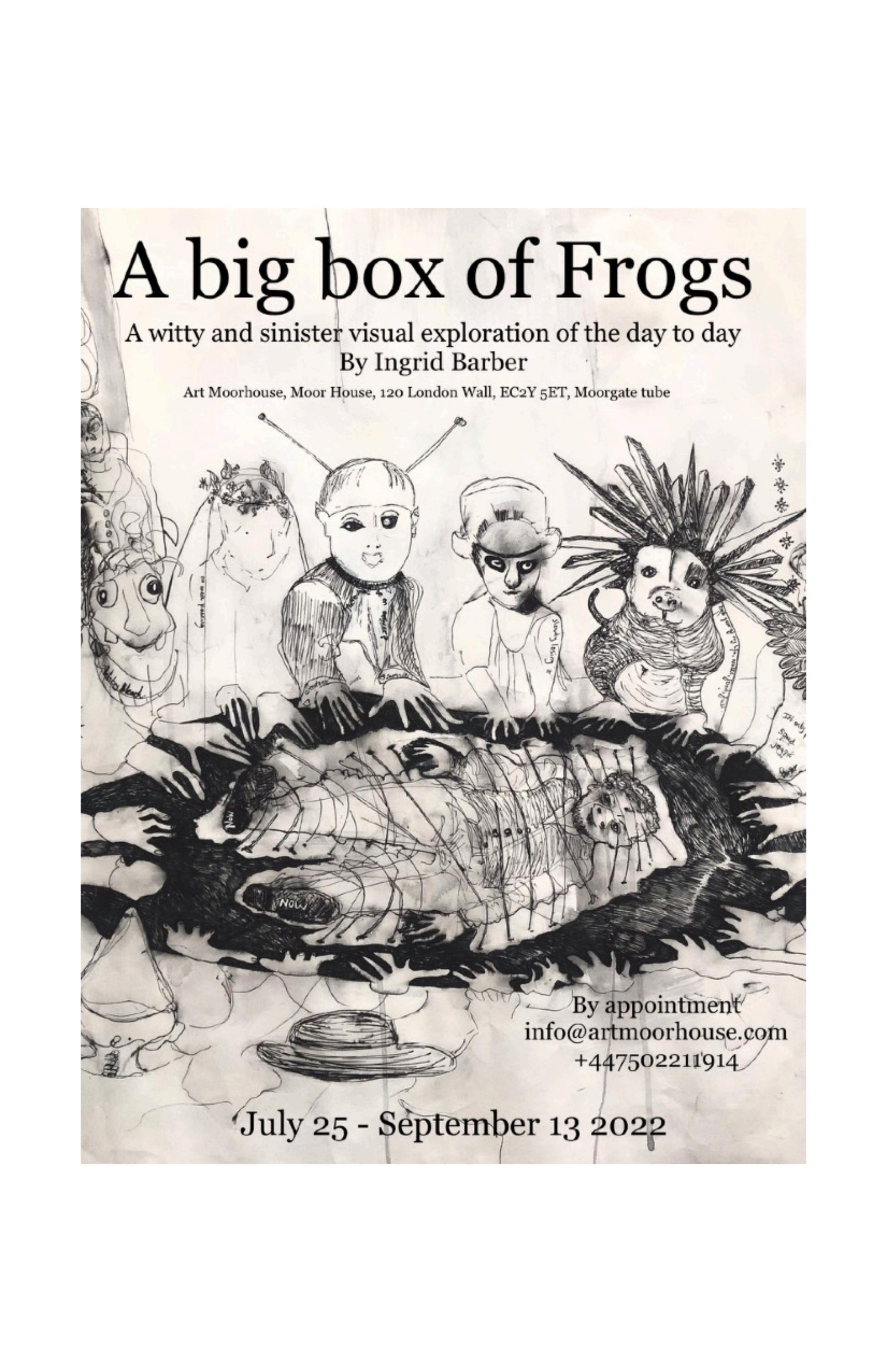 “A Big Box of Frogs” an art exhibition by Ingrid Barber at ArtMoorHouse ...