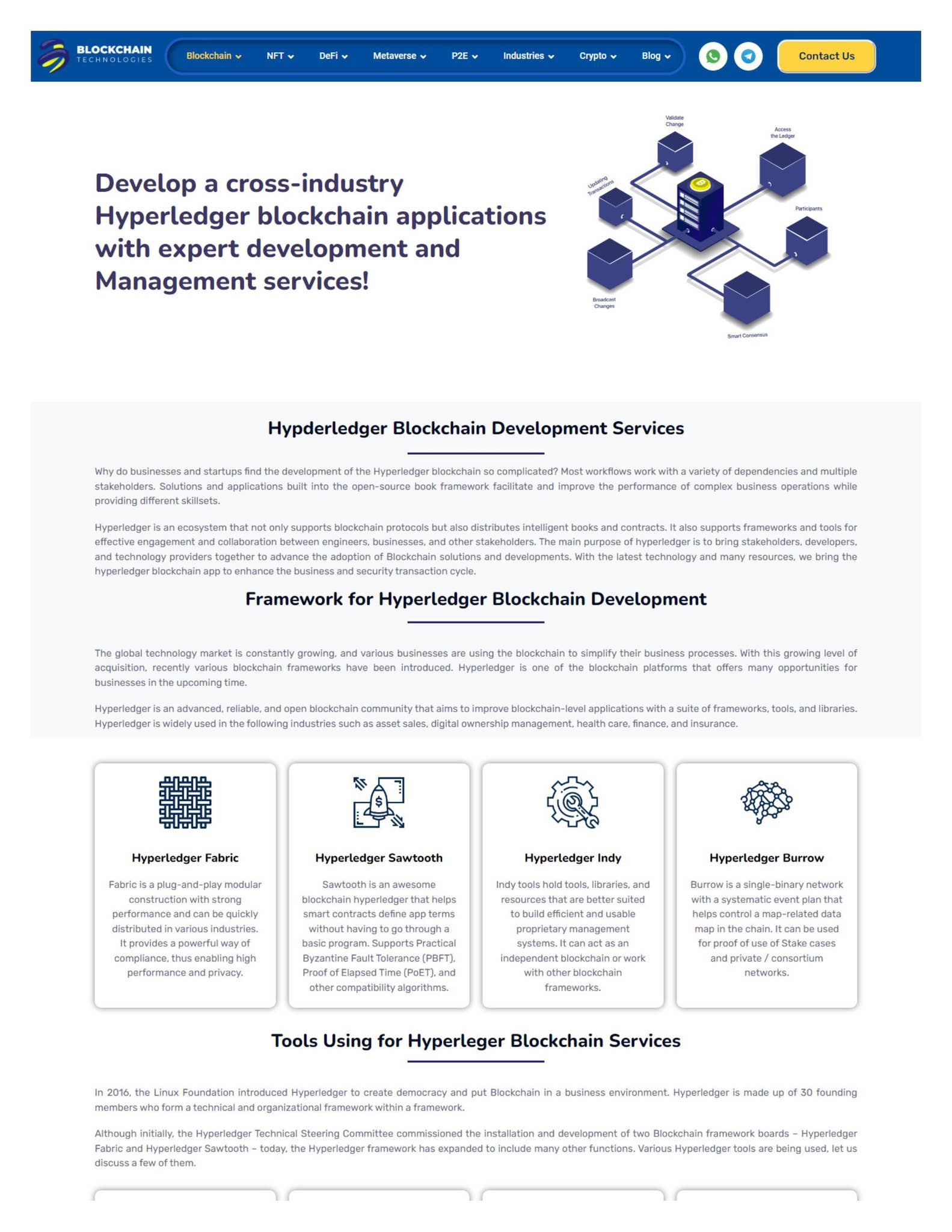 Hyperledger Blockchain Development Services by Blockhain Technologies - Issuu