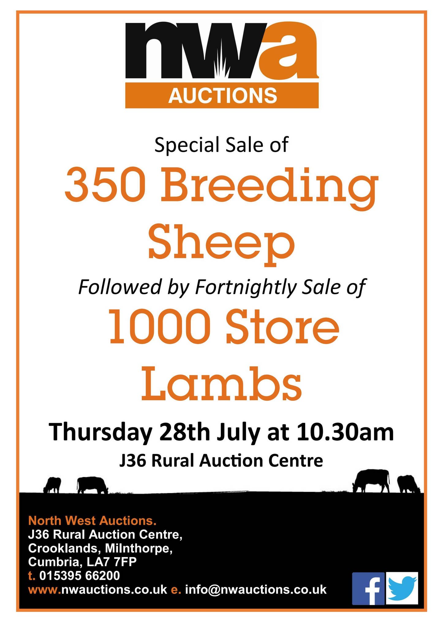 J36 Early Breeding Sale and Store Lambs, 28th July 2022. by North West ...