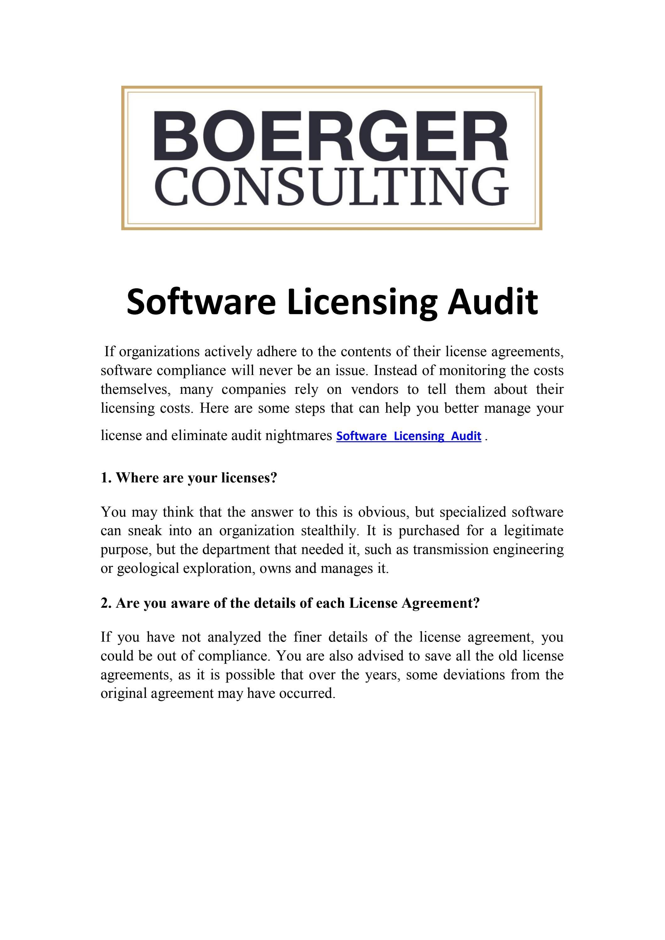 Software Licensing Audit by Leo Evans - Issuu