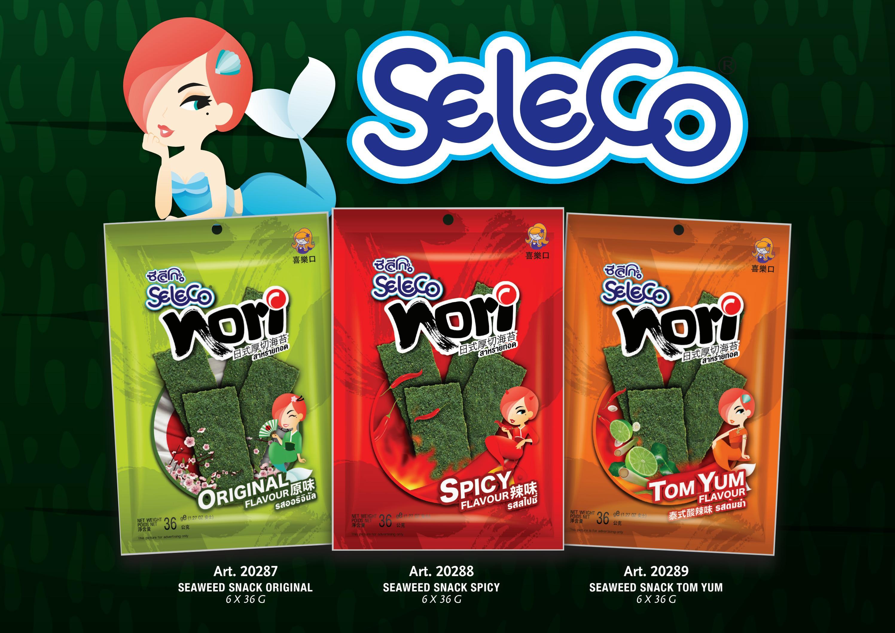 Seleco Brand Flyer 2022 by Heuschen & Schrouff - Issuu