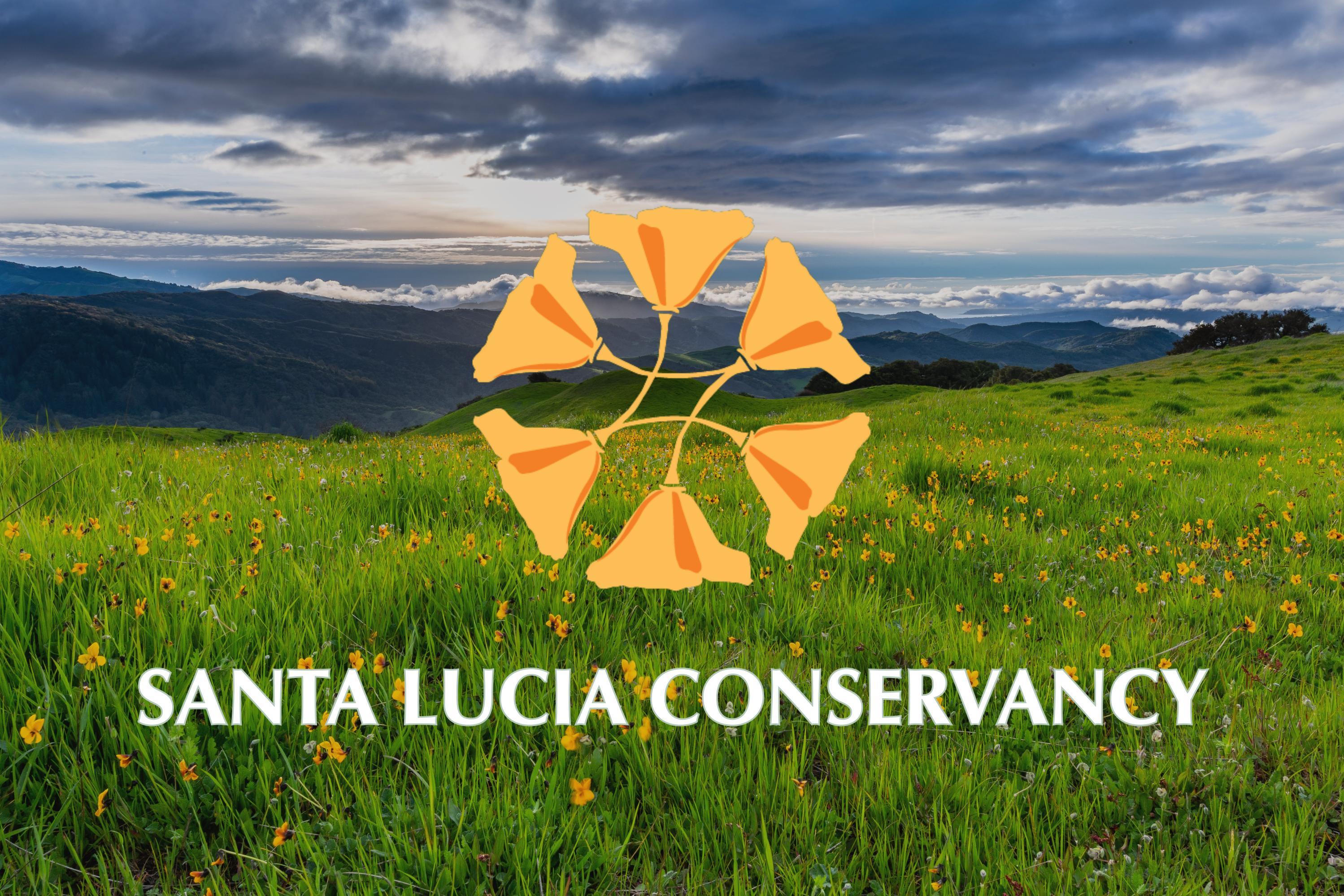 Santa Lucia Conservancy Brochure by Santa Lucia Preserve - Issuu