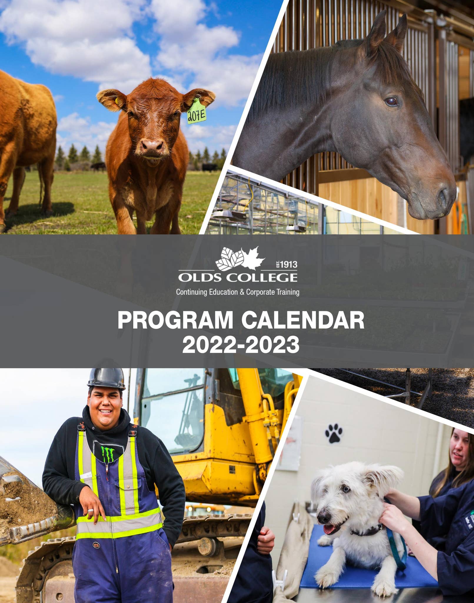 Continuing Education Program Calendar 2022-2023 by Olds College of ...