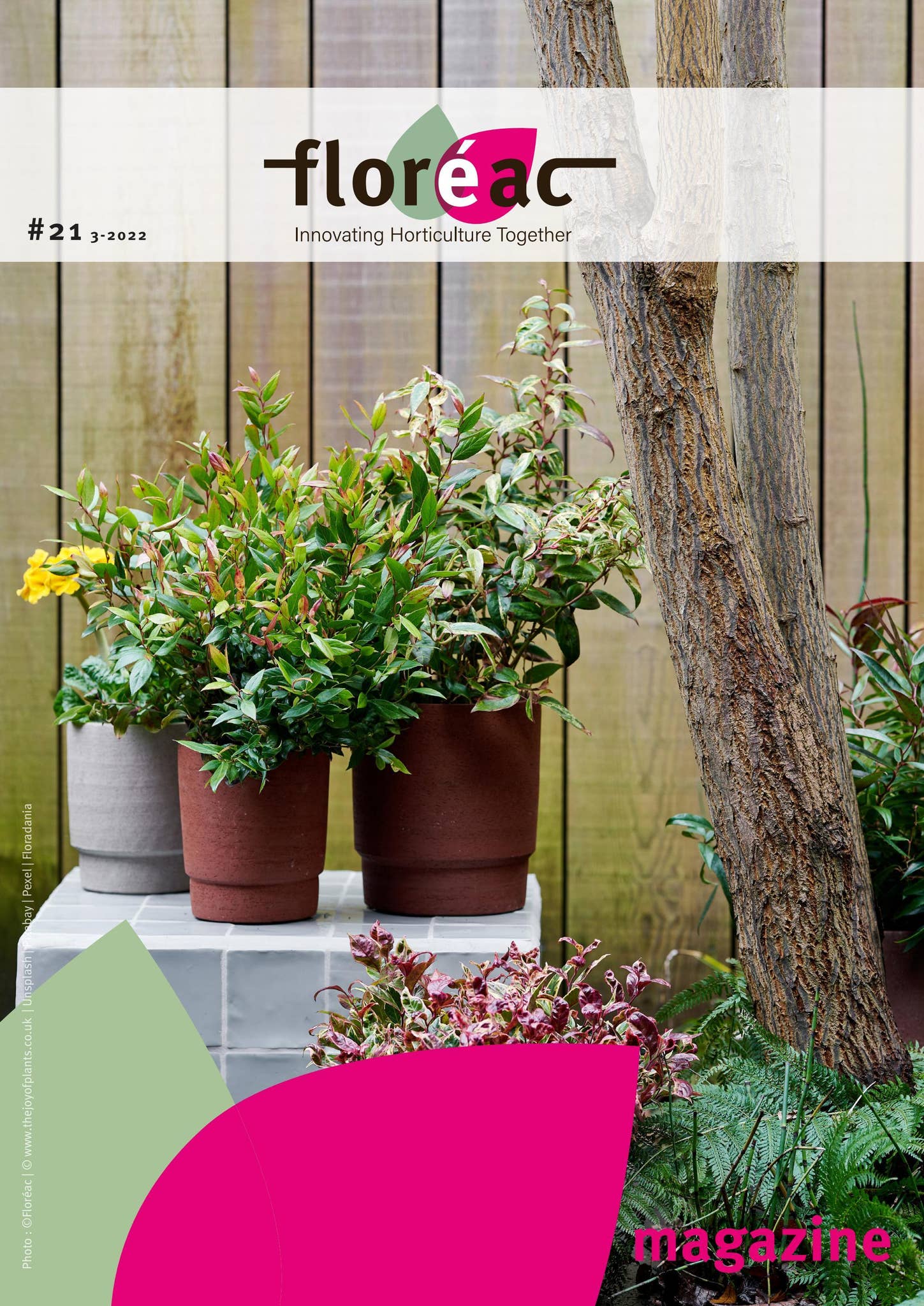 Floréac magazine #21 3-2022 : Uncorking autumn by Floréac, grow in ...