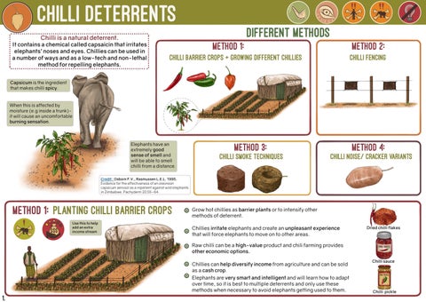 Chilli Deterrents by Save The Elephants - Issuu