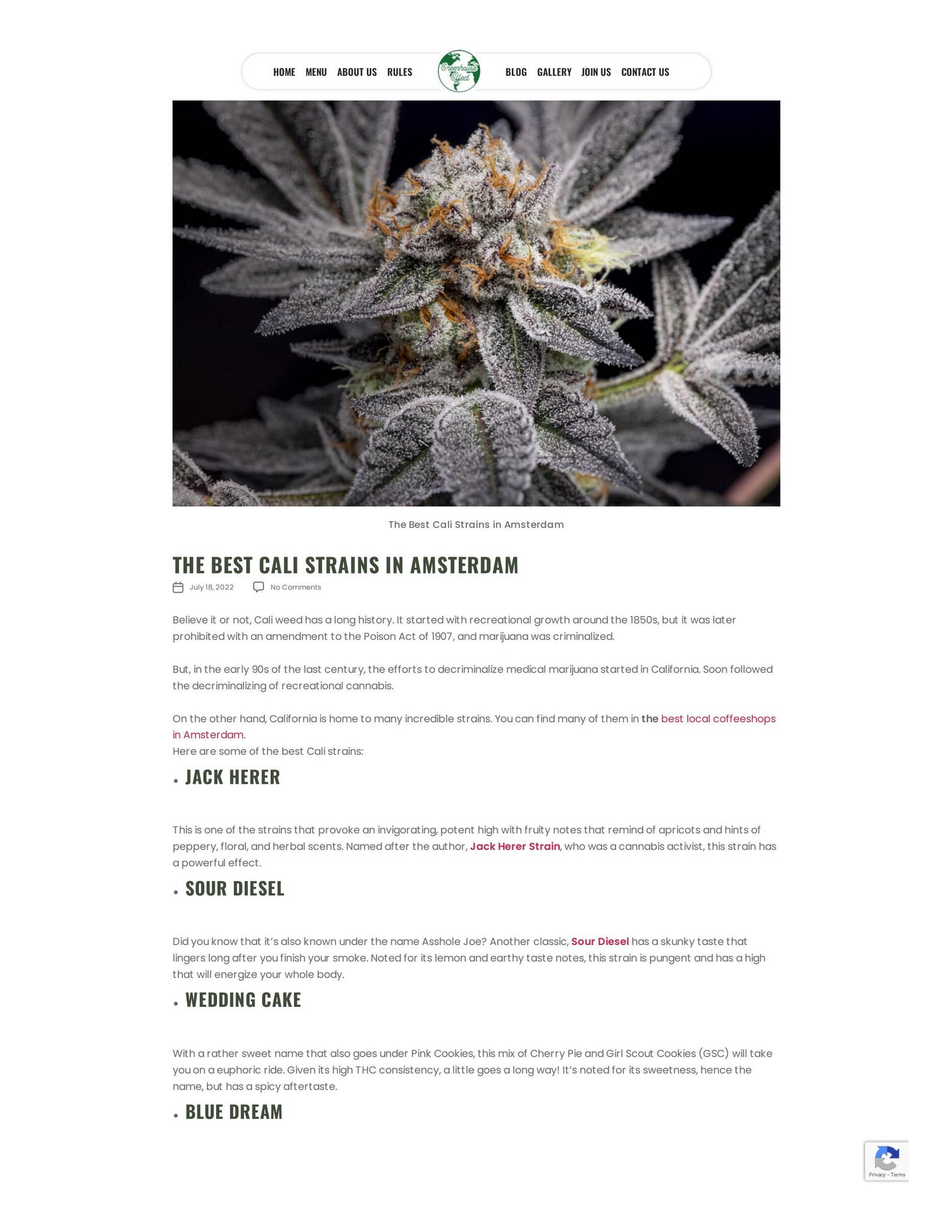 THE BEST CALI STRAINS IN AMSTERDAM by Greenhouse Effect - Issuu