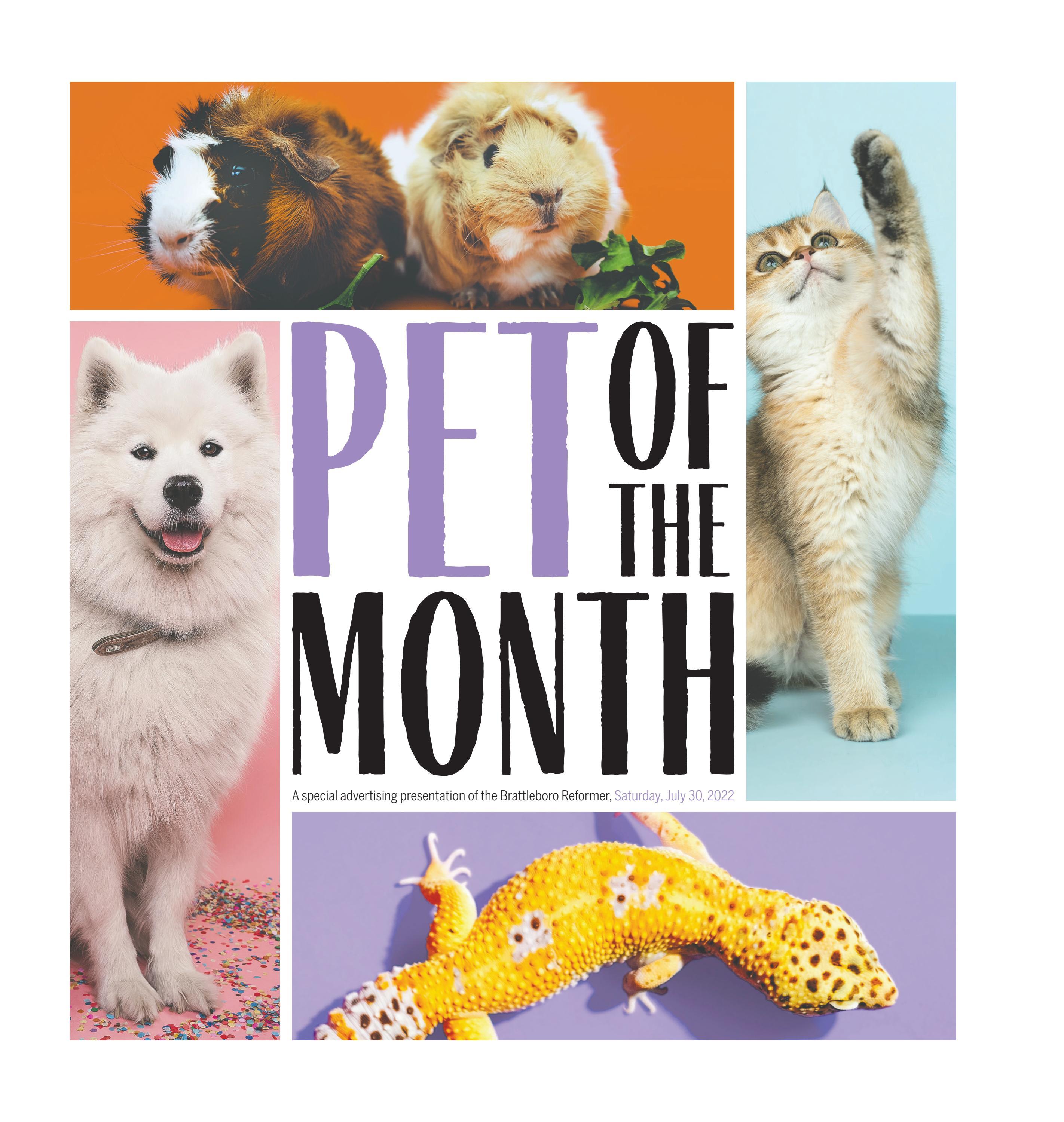 Pet of the Month 2022 by New England Newspapers, Inc. - Issuu
