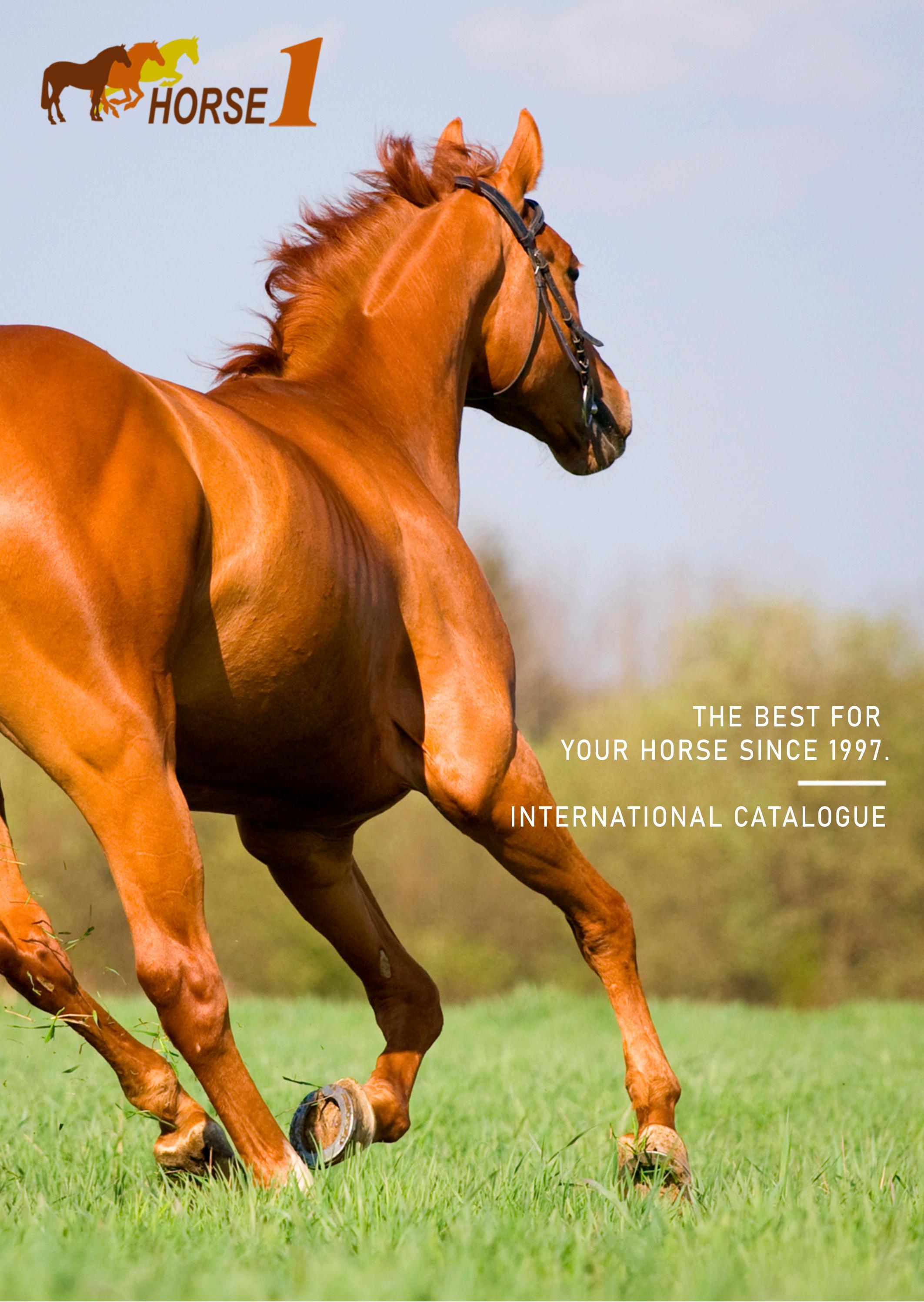 HORSE1 - International Catalogue by horse1_ - Issuu