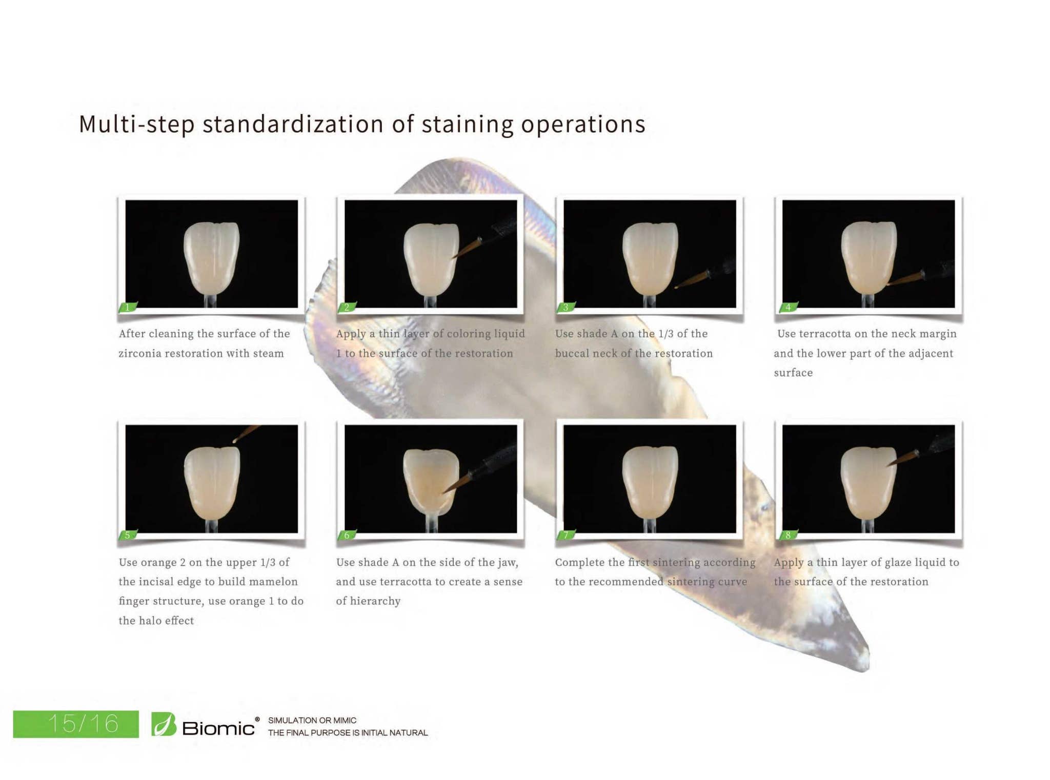 Aidite Biomic Aesthetic Stain & Glaze Kit Brochure by Bracon - Issuu