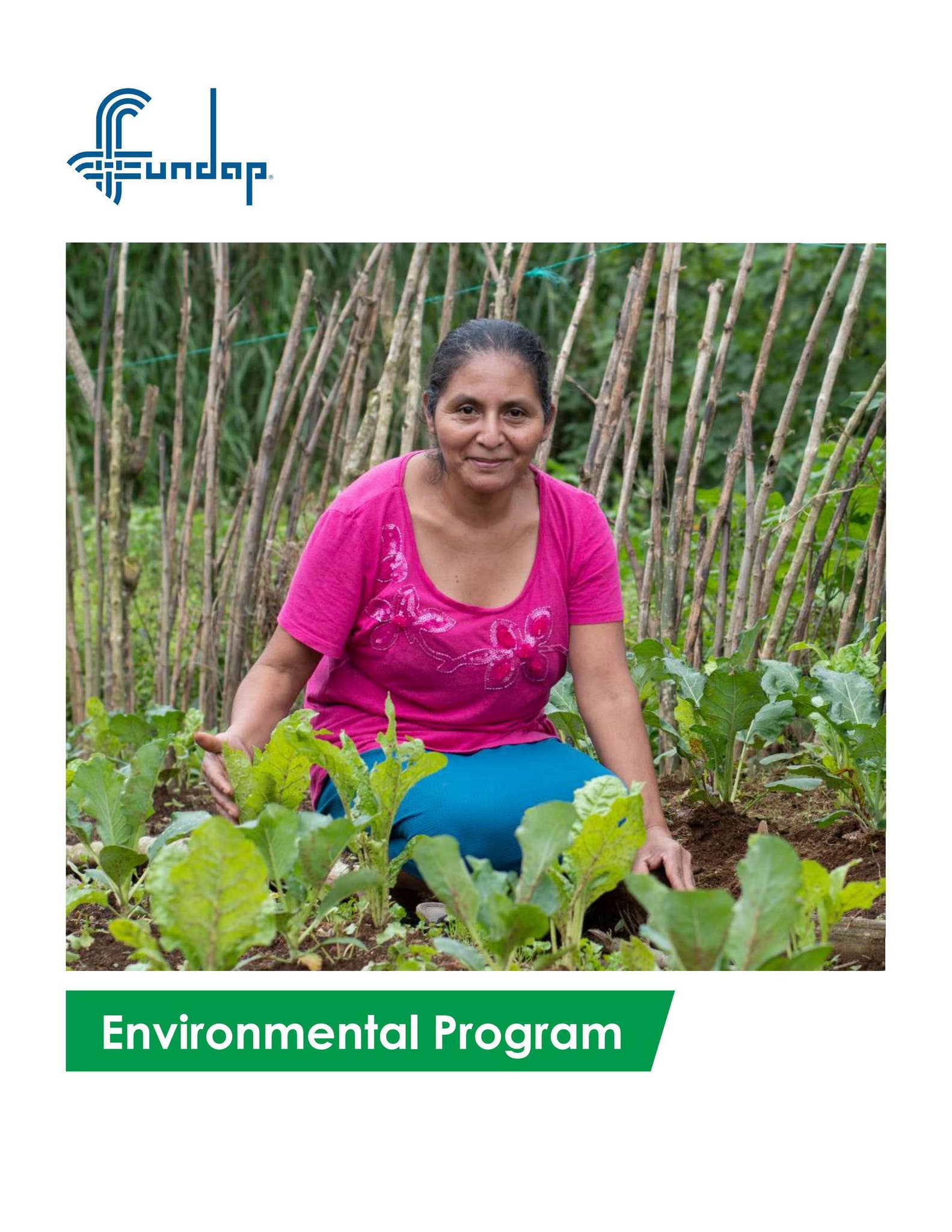 Environmental Brochure 2022 by FUNDAP - Issuu