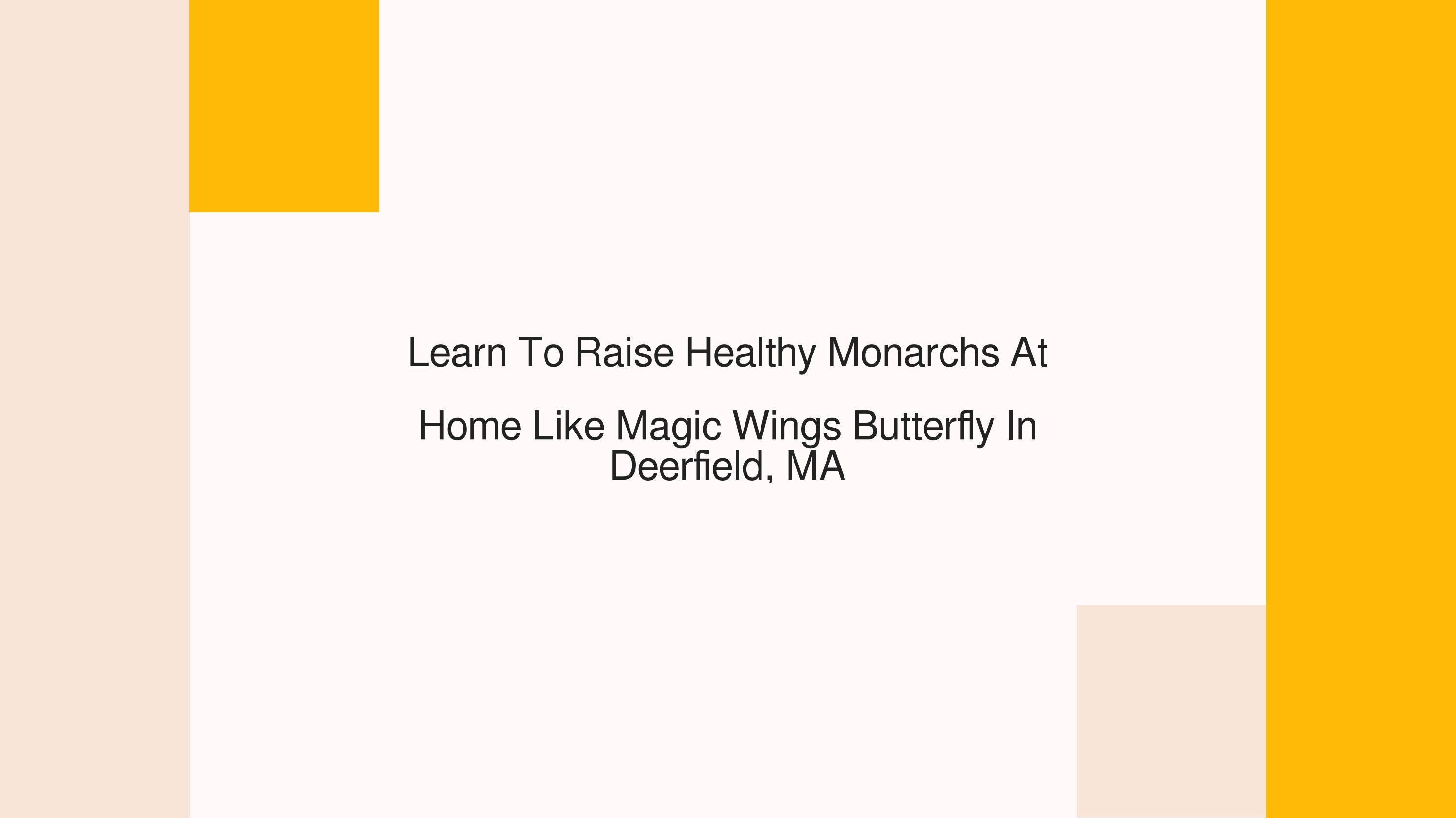 Learn To Raise Healthy Monarchs At Home Like Magic Wings Butterfly In ...