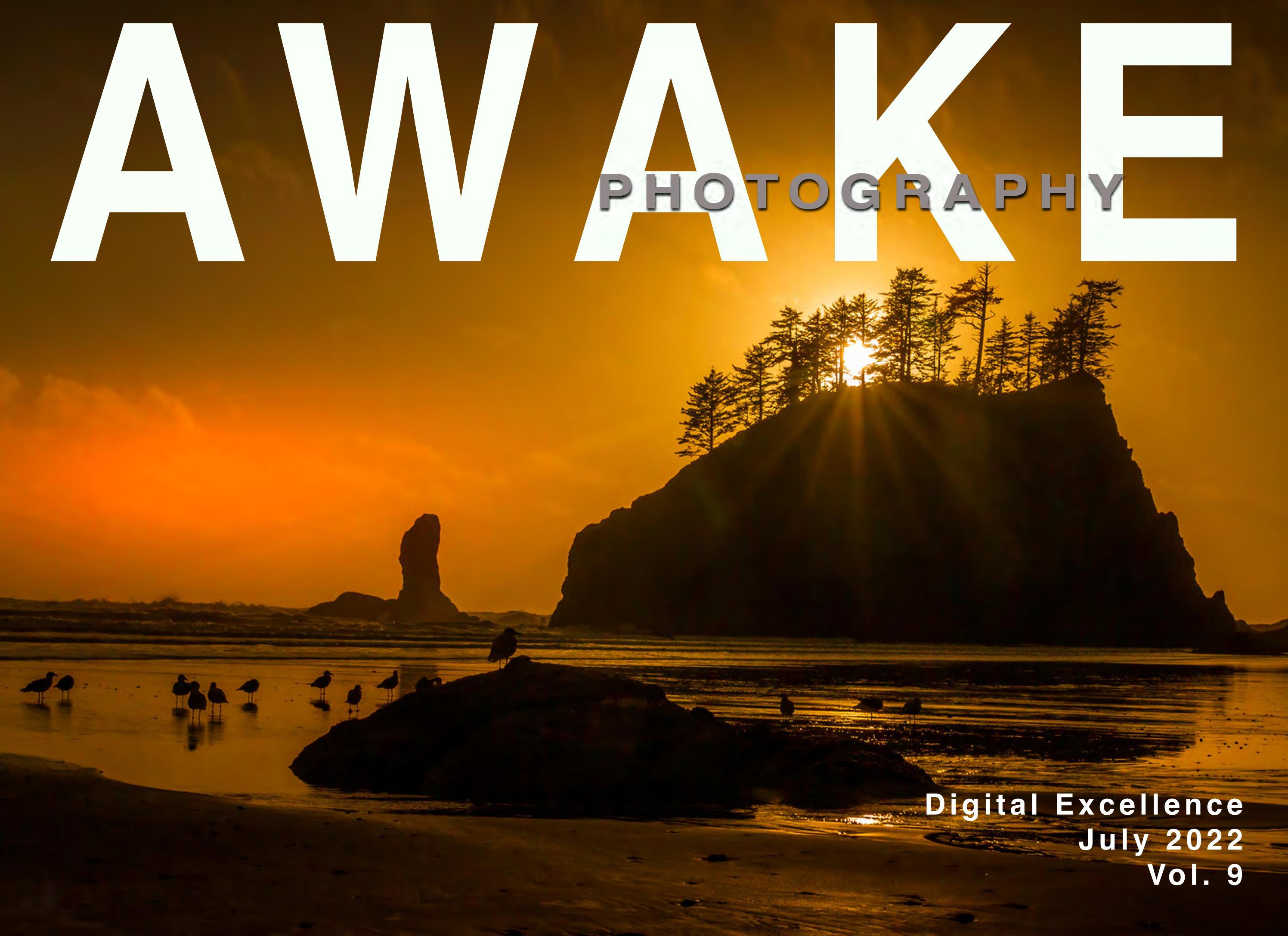 AWAKE Photography Vol. 9 by The Photo Artistic Life - Issuu
