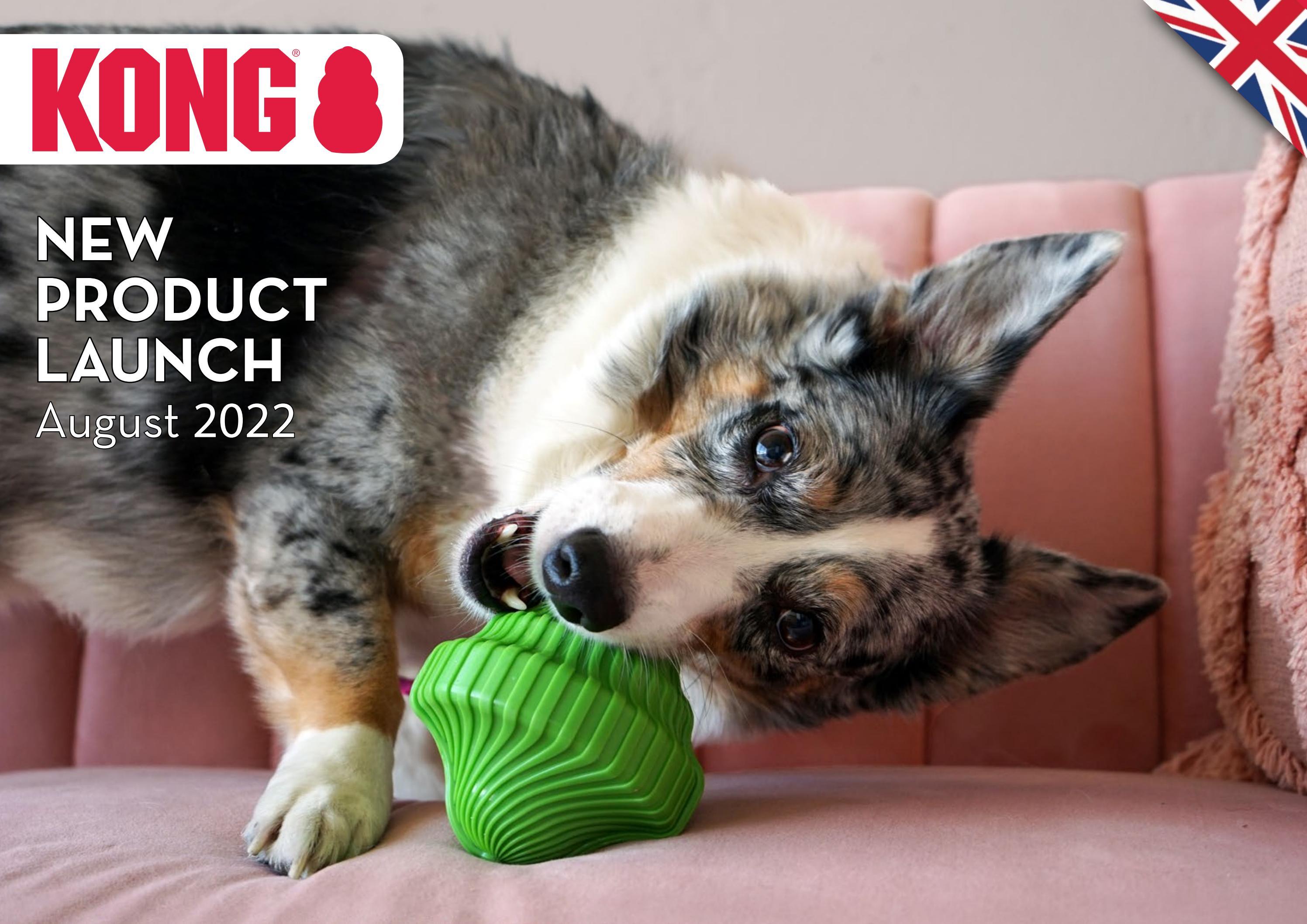 KONG UK August Promo Book 0722 by KONG Company - Issuu