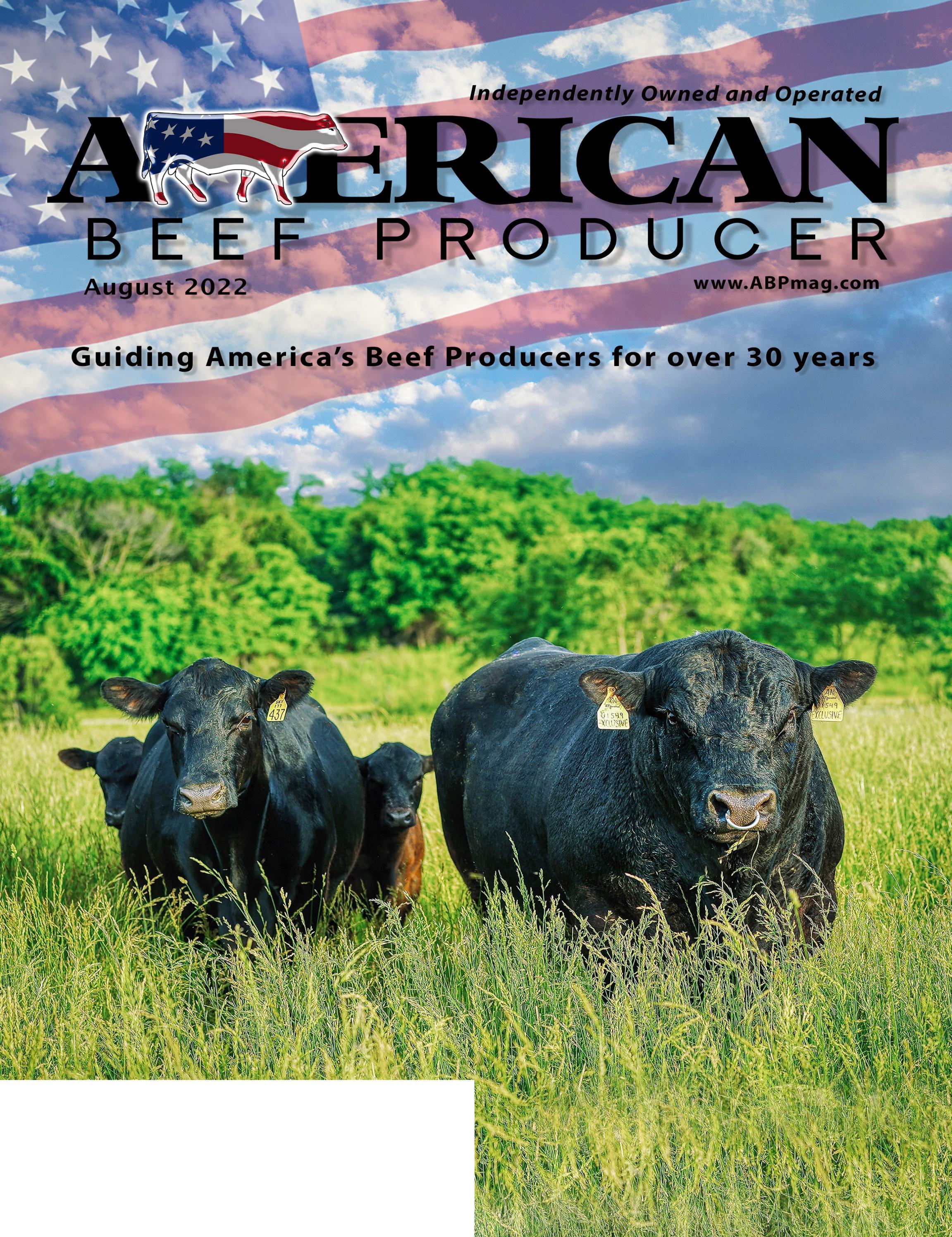 August 2022 - American Beef Producer Magazine by American Beef Producer ...