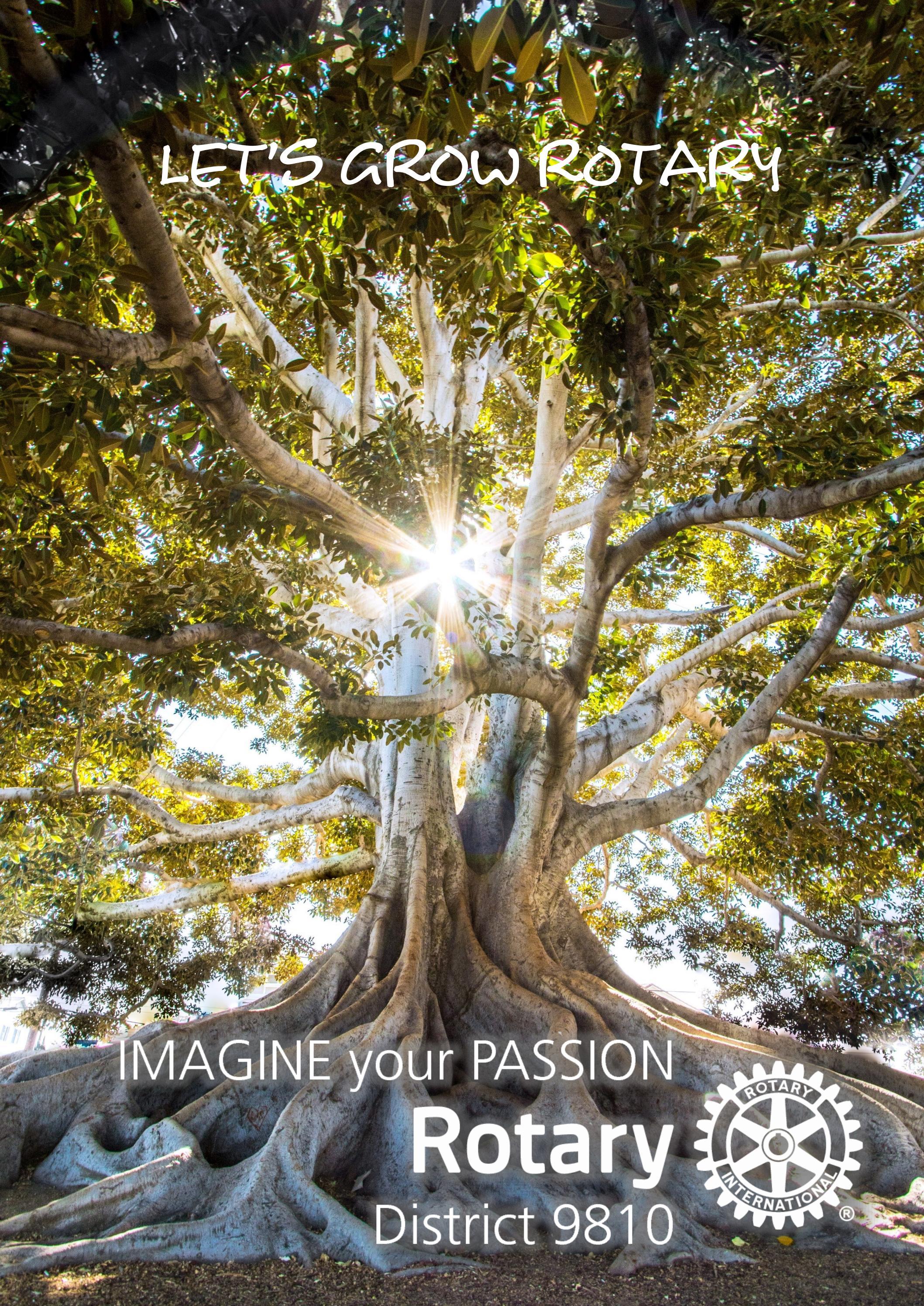 Imagine your Passion August 2022 by Rotary International District 9810 ...