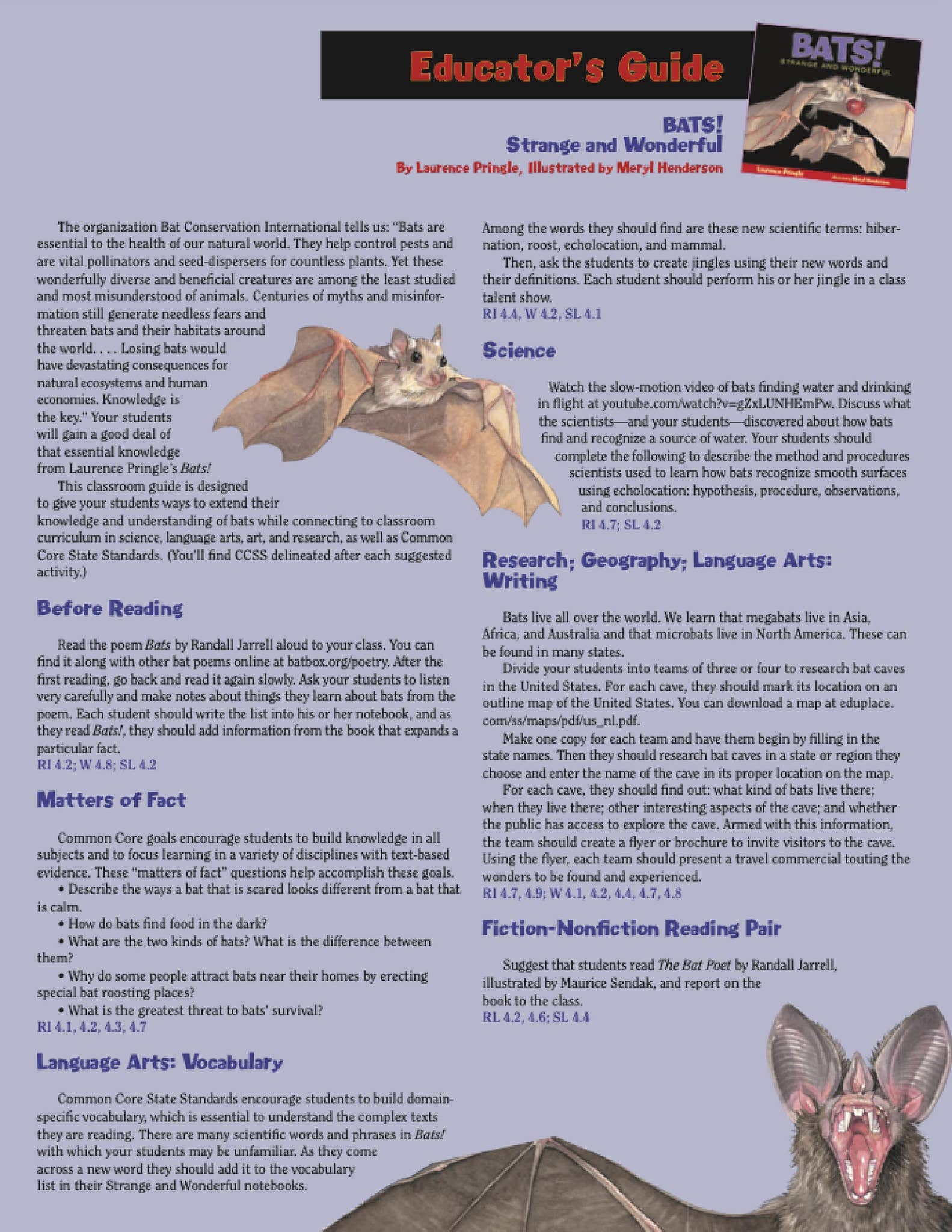 BATS! STRANGE AND WONDERFUL Educator Guide by Astra Publishing House ...