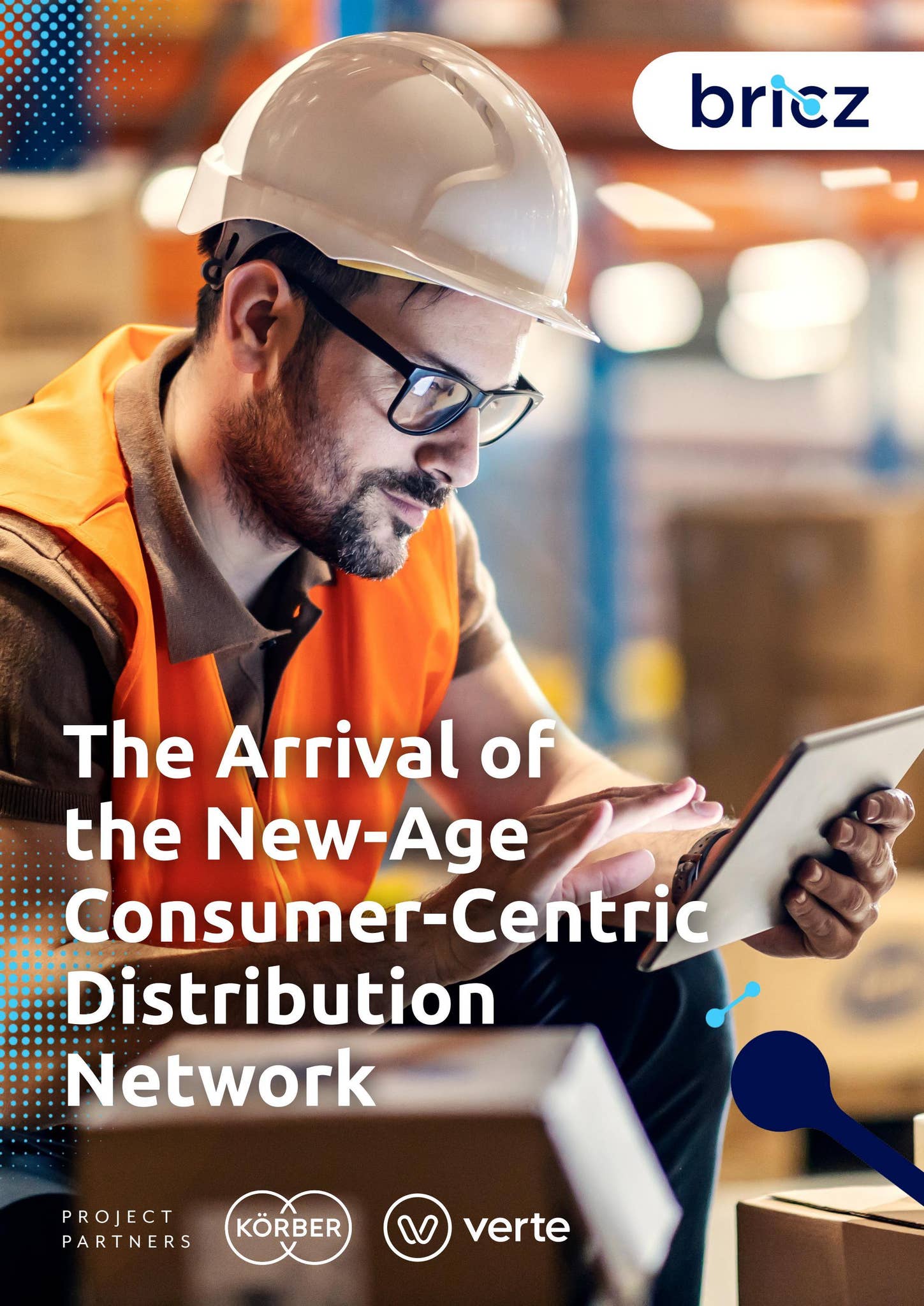 Bricz - The Arrival of the New-Age Consumer-Centric Distribution Network (CHAIN) by iThink Media ...