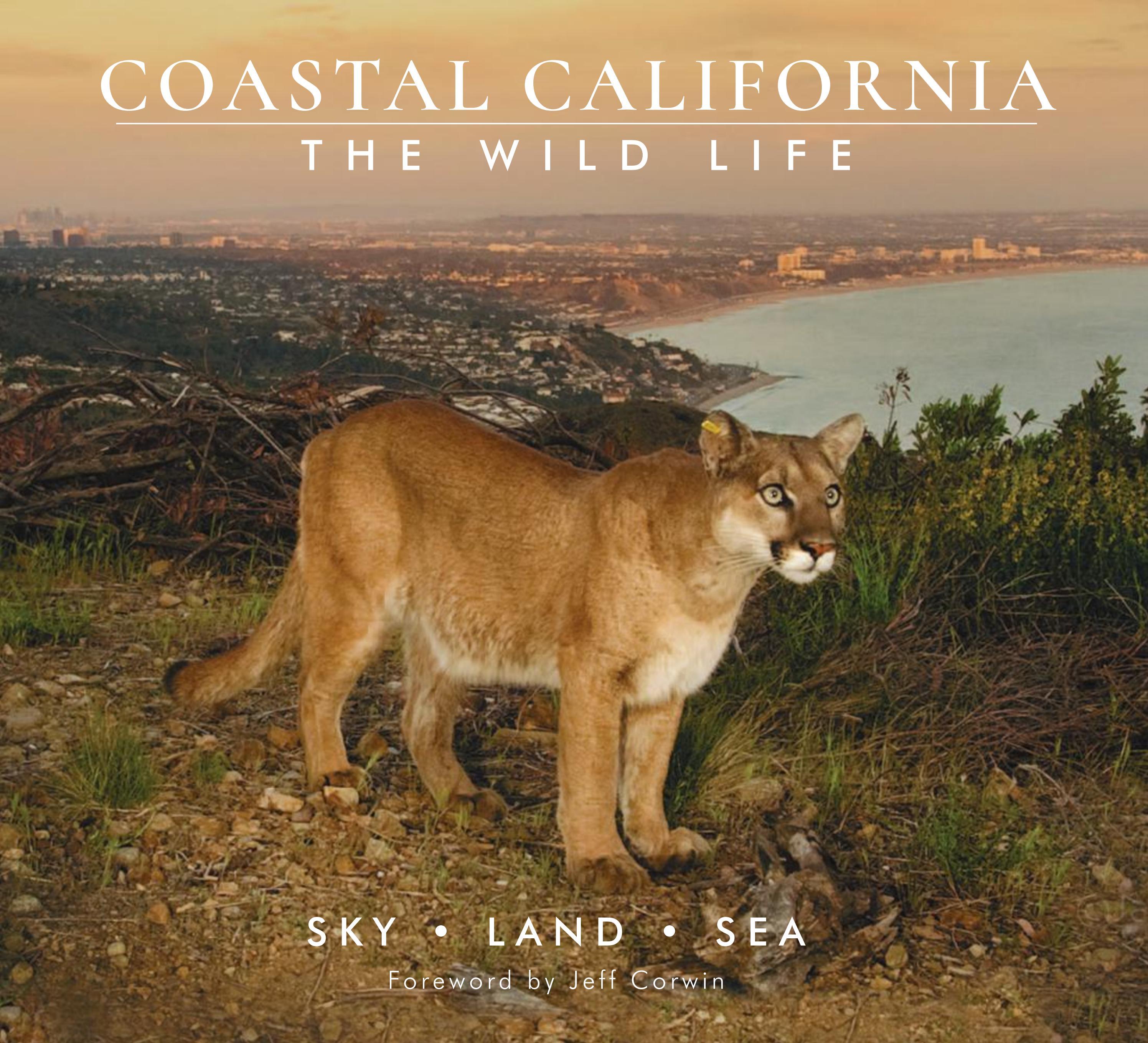 Coastal California - The Wild Life by PV Publications/Palos Verdes ...